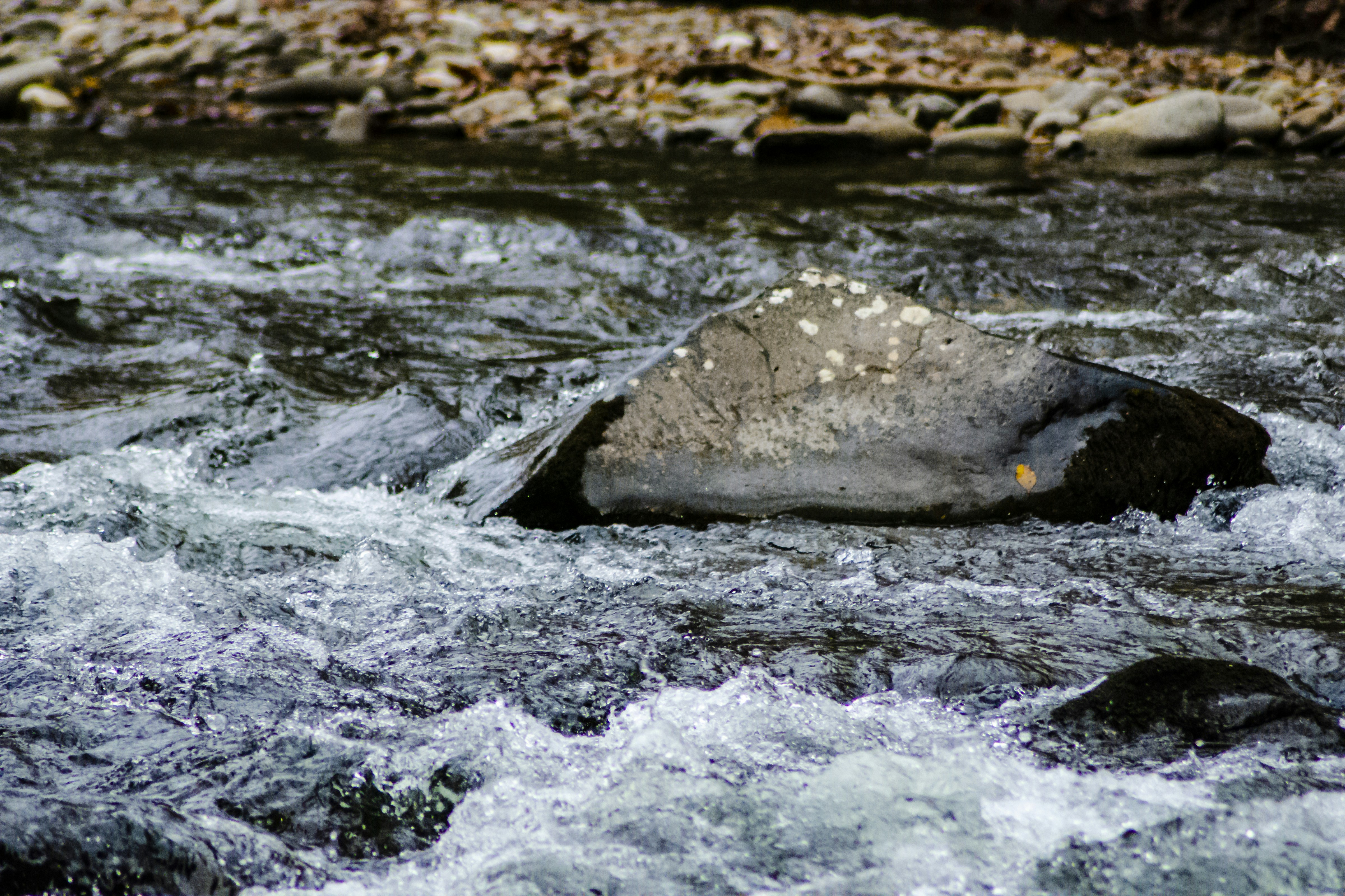 Rushing River Rock: A lone stone amid moving water
