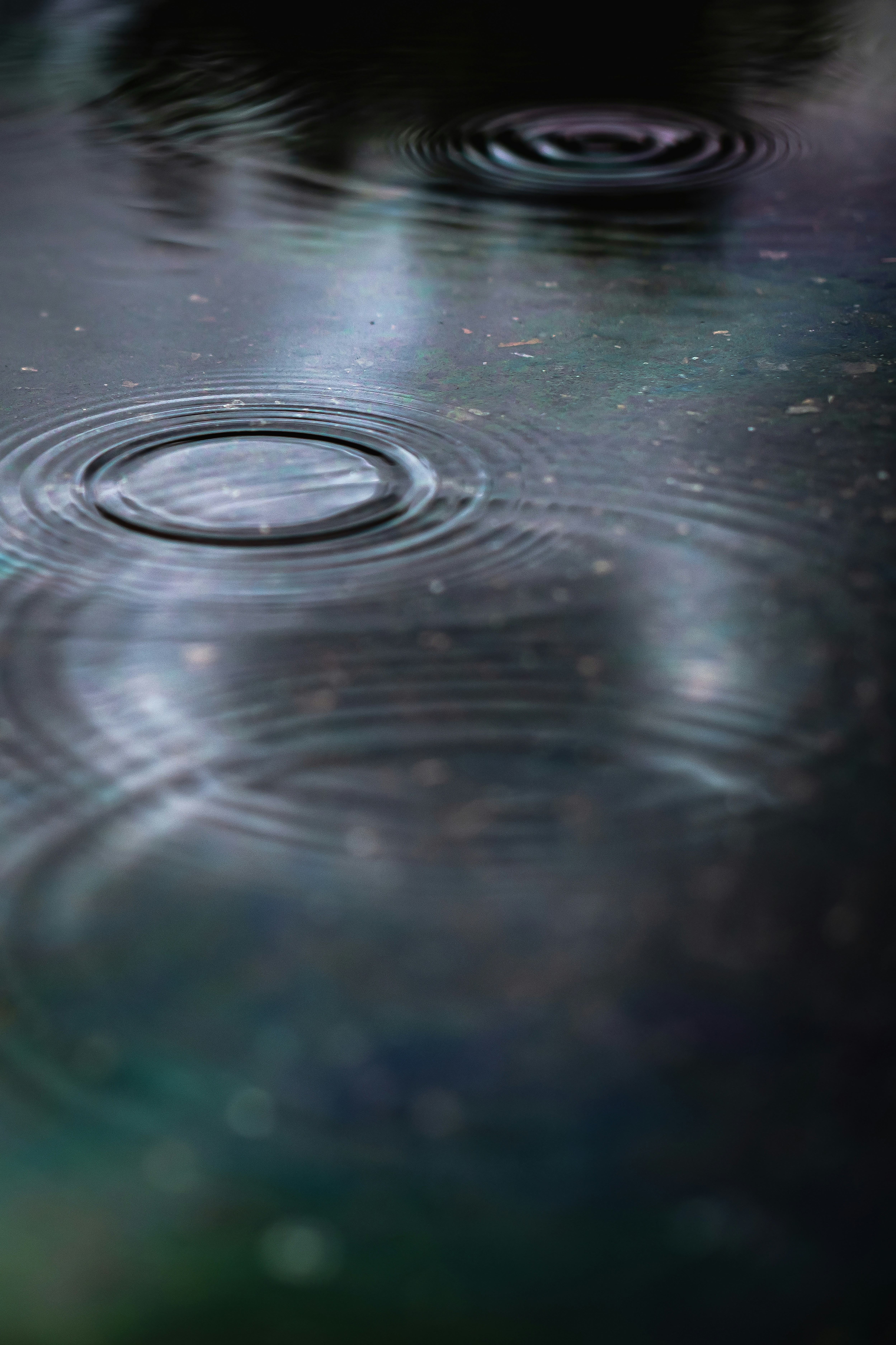 A close up of a puddle of water photo – Free Grey Image on Unsplash