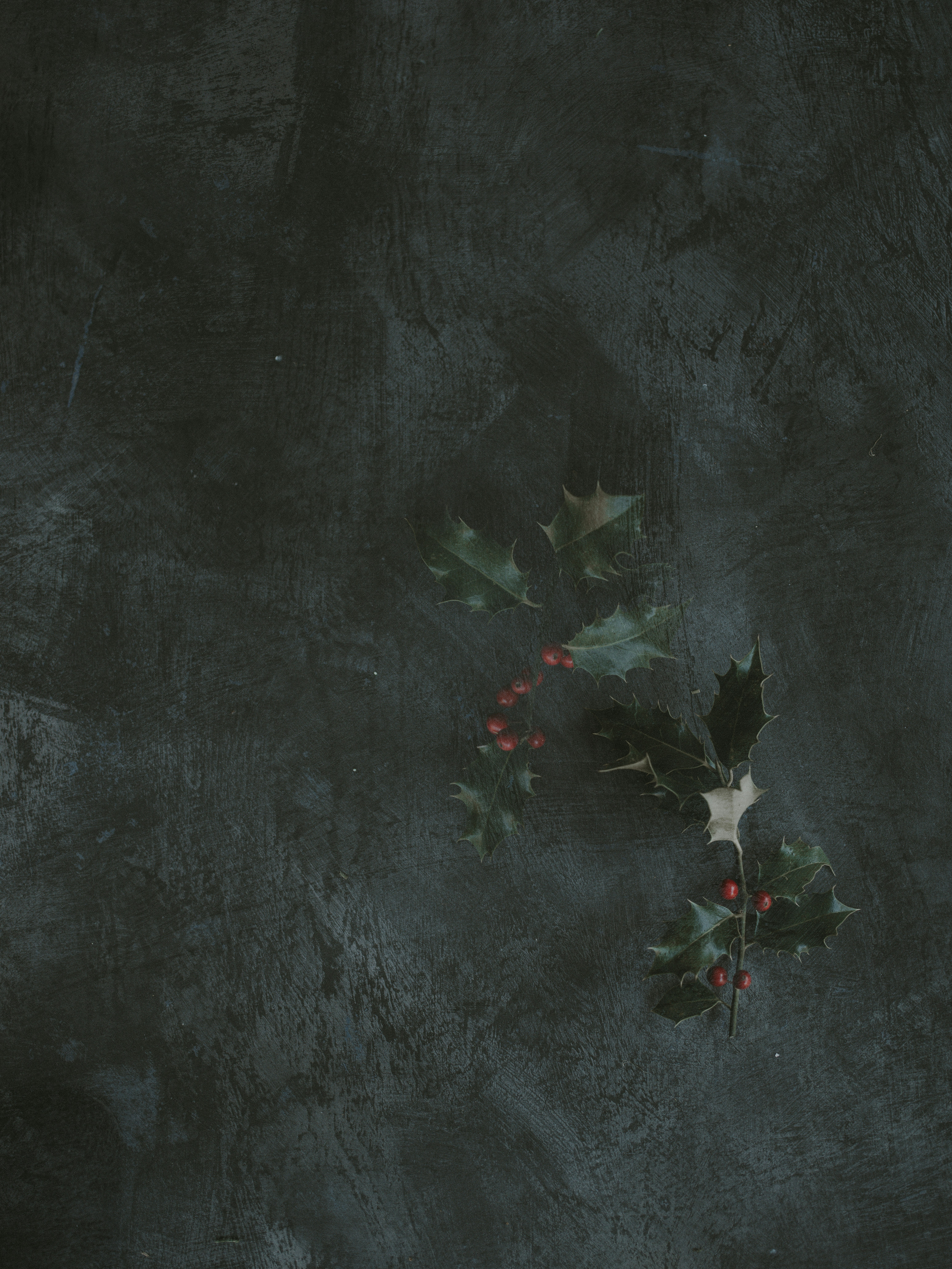 Midnight Holly: A Quiet Still Life on a Textured Dark Surface