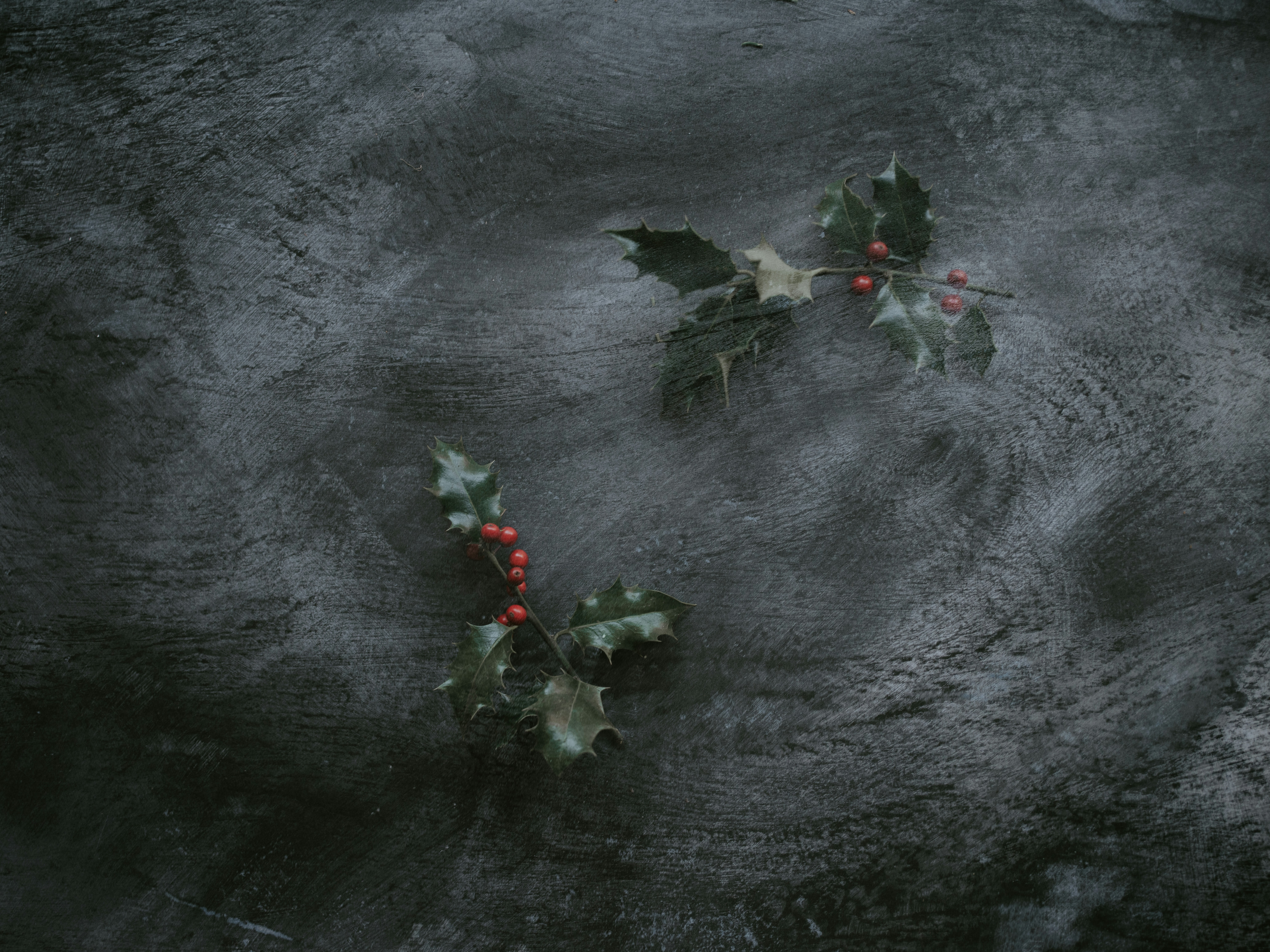 Holly on a Weathered Slate: a Minimal Winter Still Life