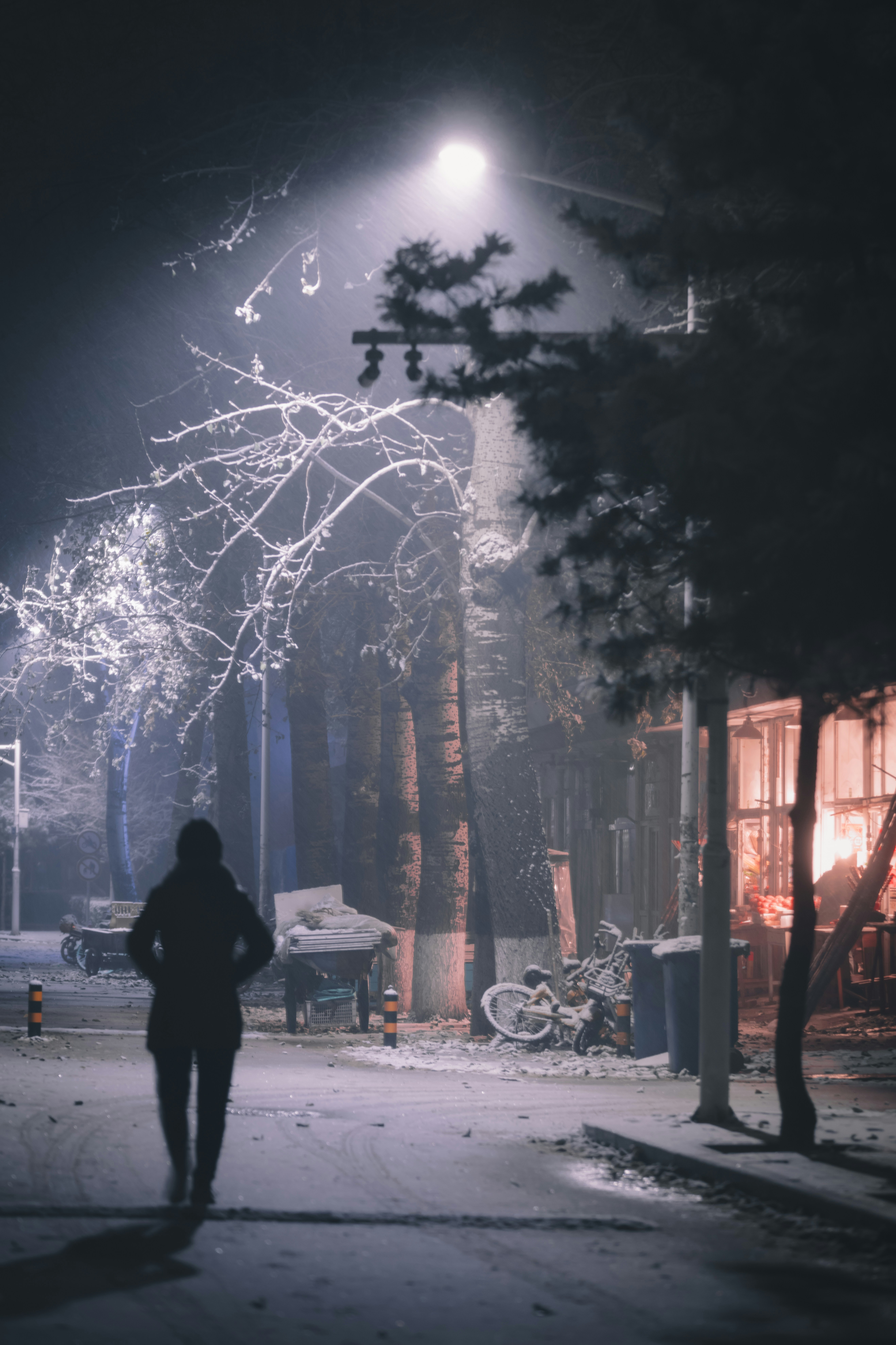 Toby Yang (@tobyyang) | Unsplash Photo Community