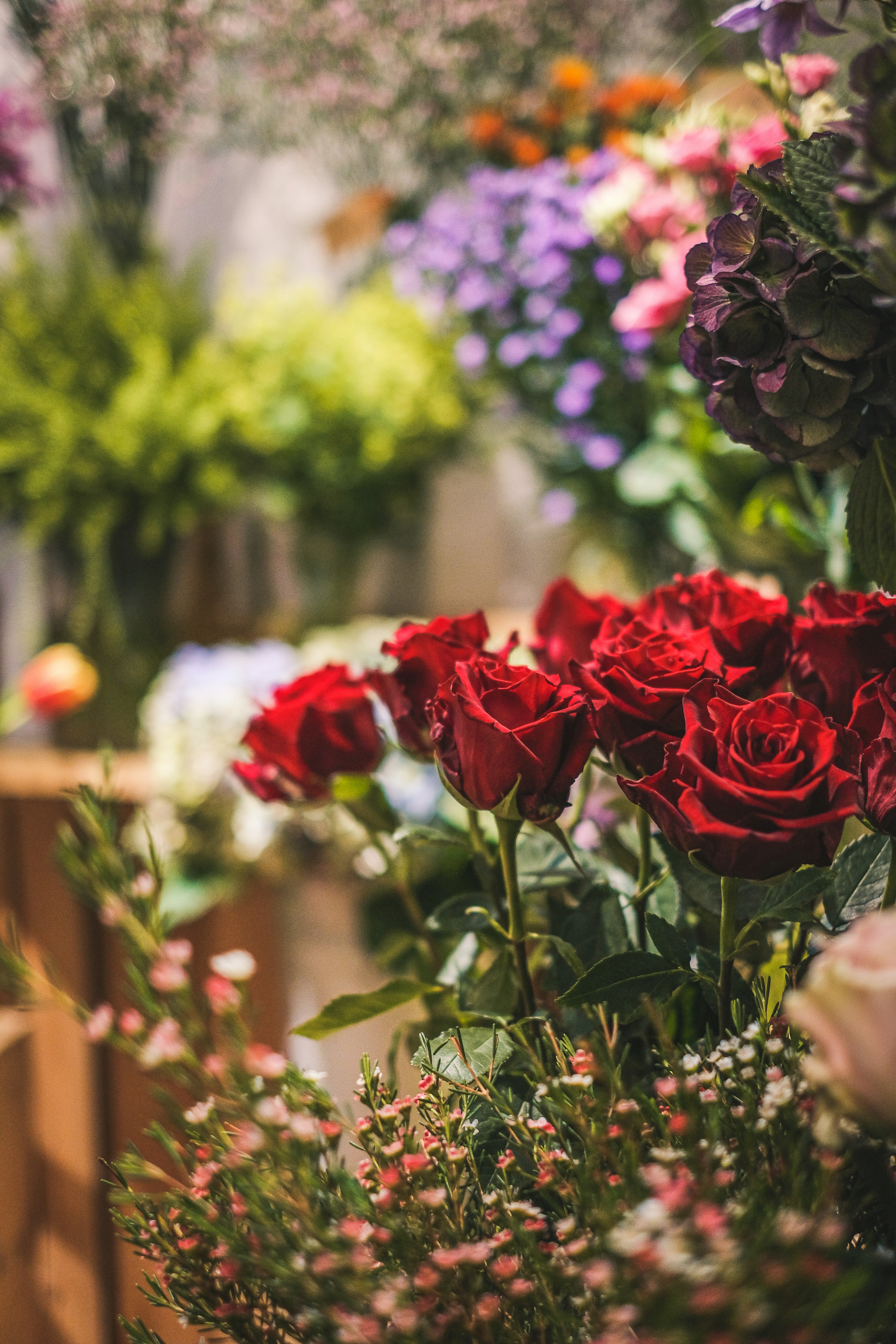 Vibrant red roses stand out amidst a colorful array of flowers in a floral arrangement.