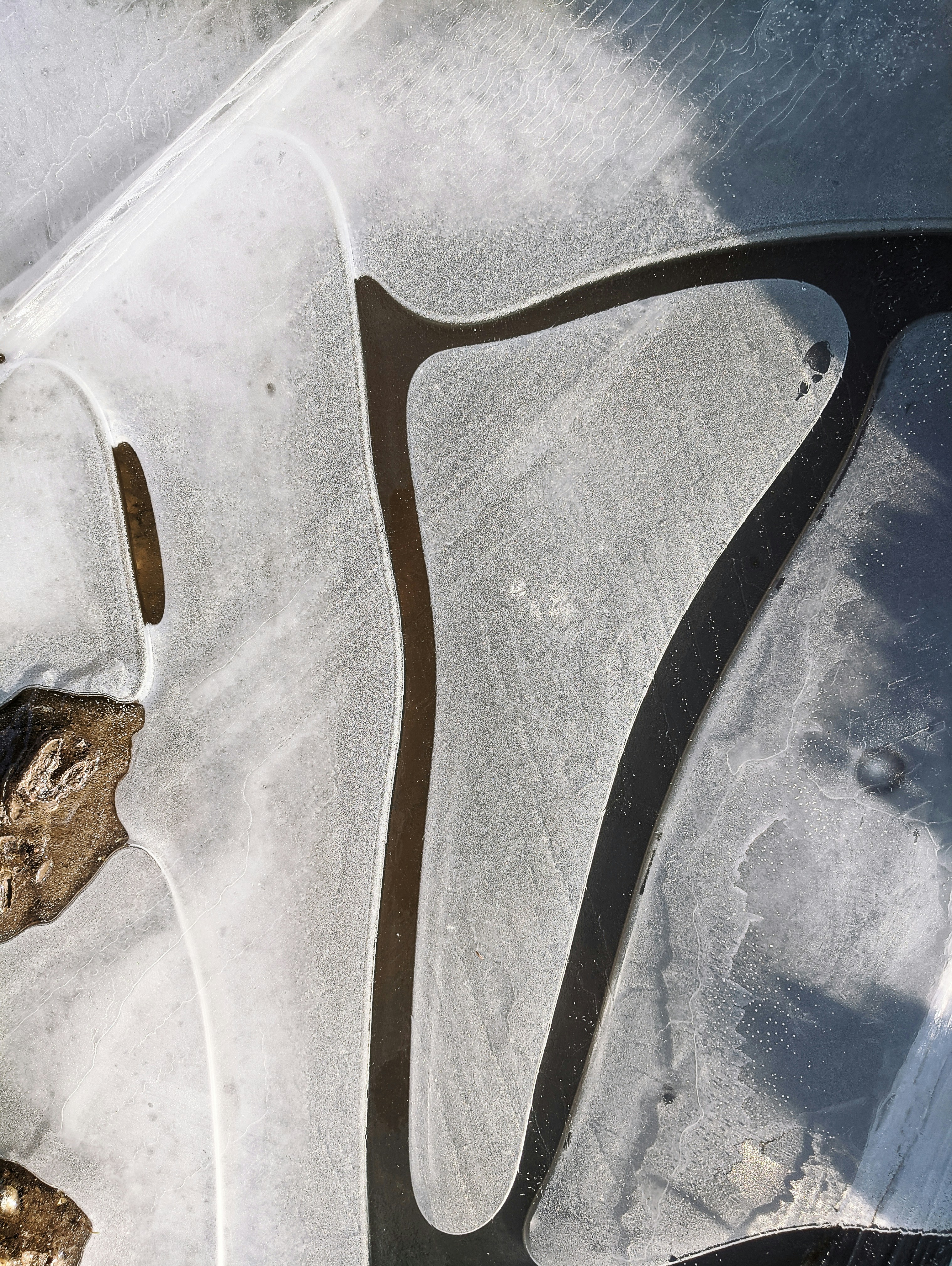 Frosted Geometry: Curves Carved by Ice on a Weathered Panel