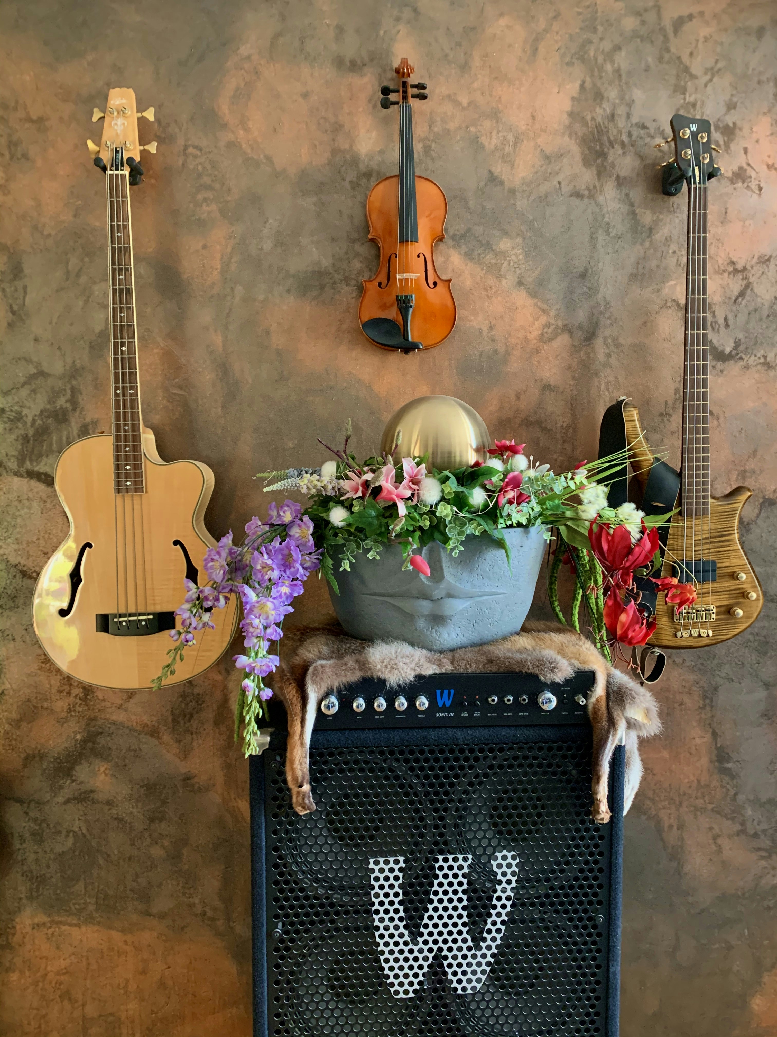 Floral Crest Above the W Amplifier: A Quiet Studio of Strings
