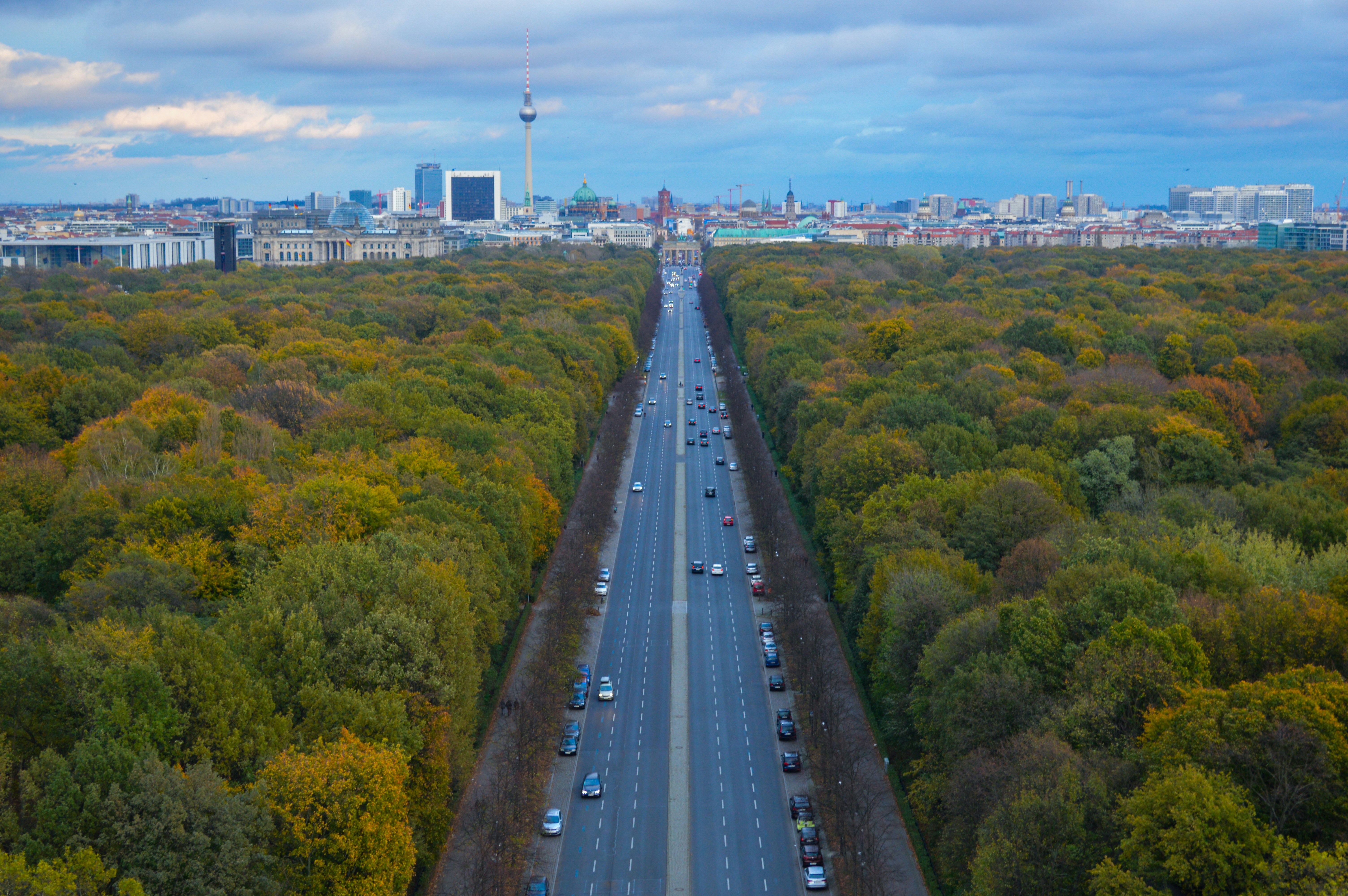 The Vanishing Spine: Autumn Boulevard Reaching Toward a Distant Skyline
