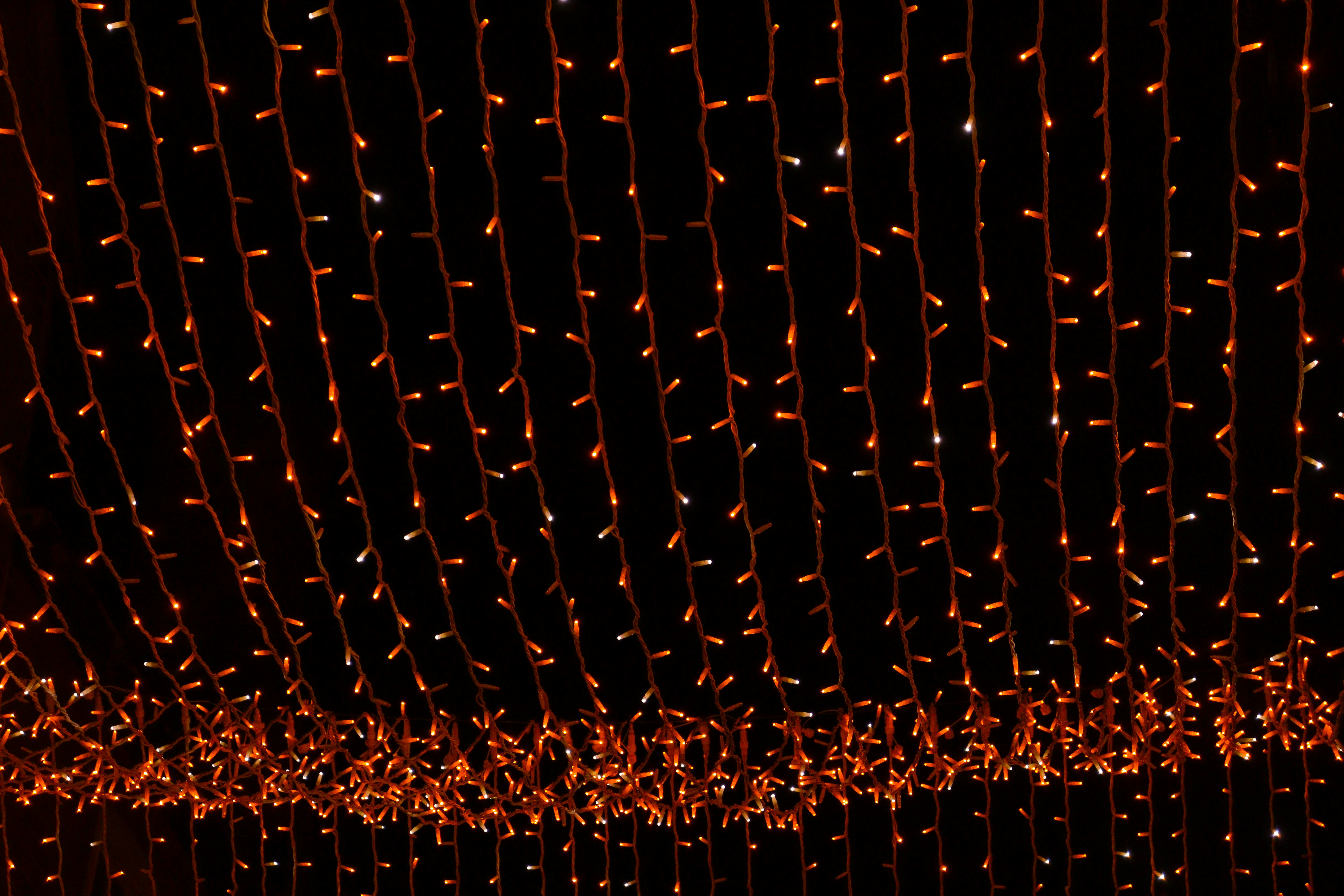 Luminous Canopy of Festive Lights