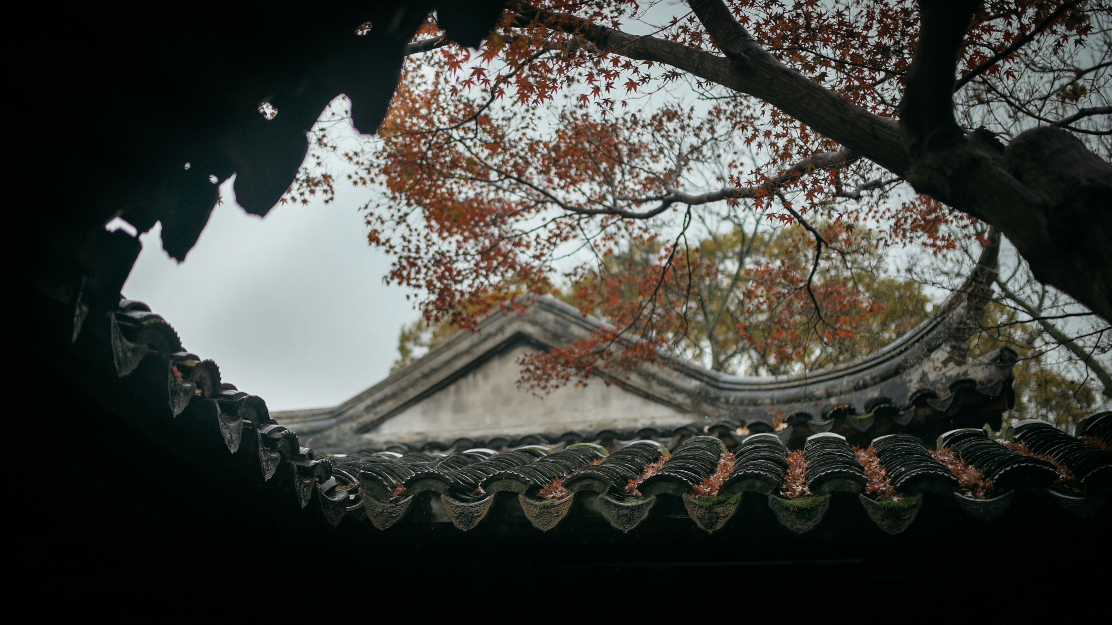 Gray temple photo – Free 中国江苏省苏州 Image on Unsplash