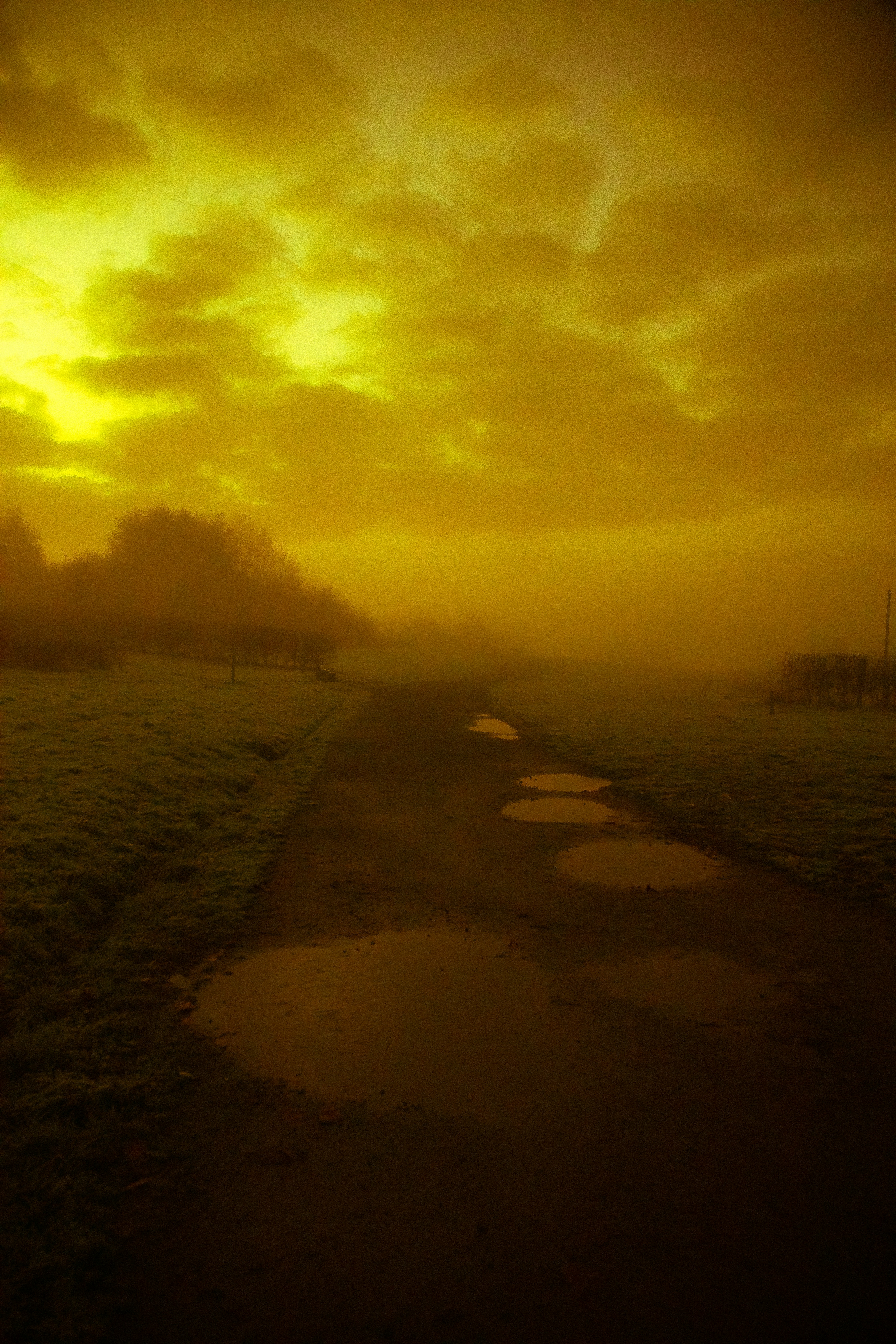 Ember-fog Corridor: A Puddled Path Toward a Distant Glow