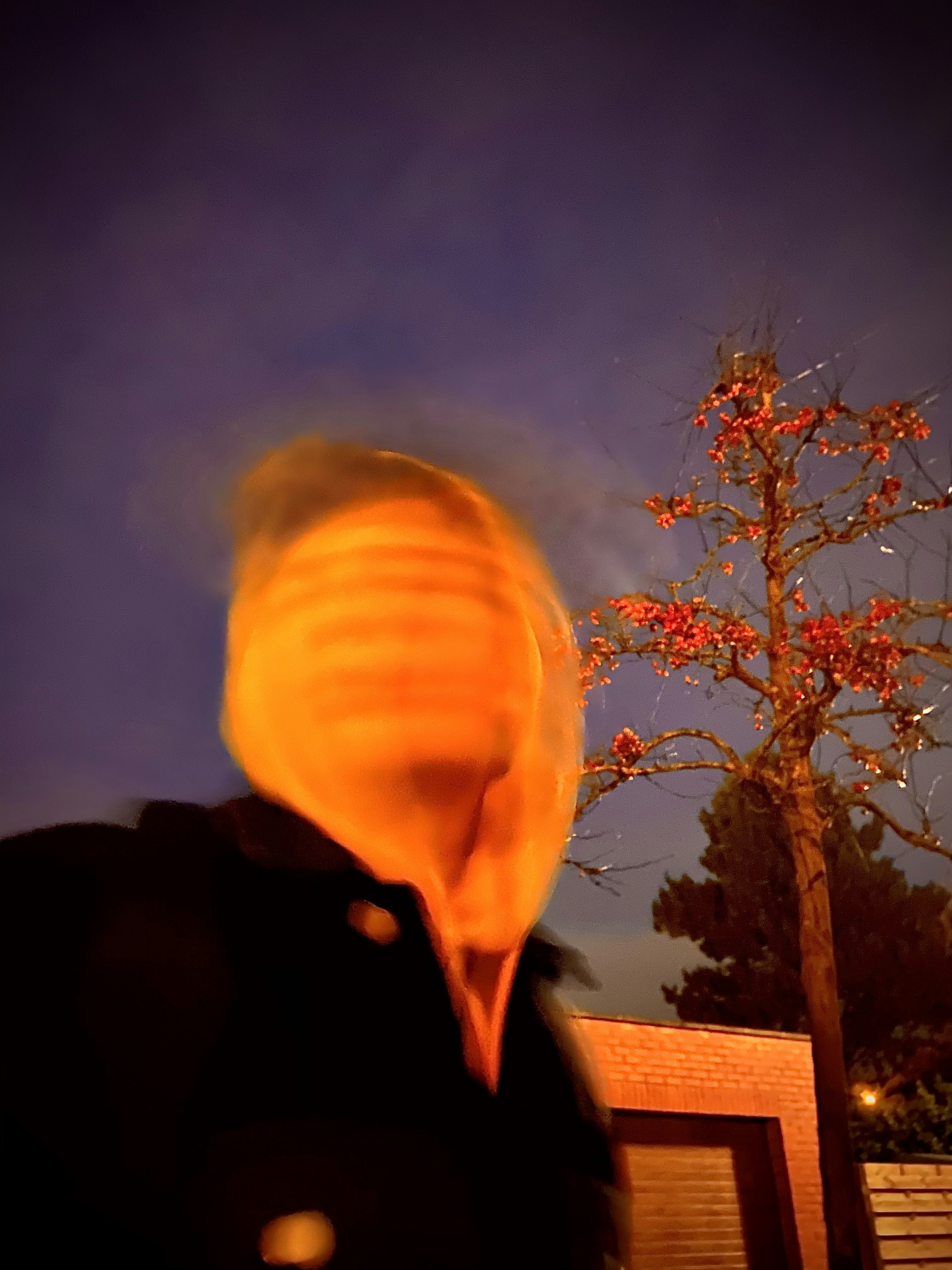 Ember Glow Night Portrait Under a Bare Tree