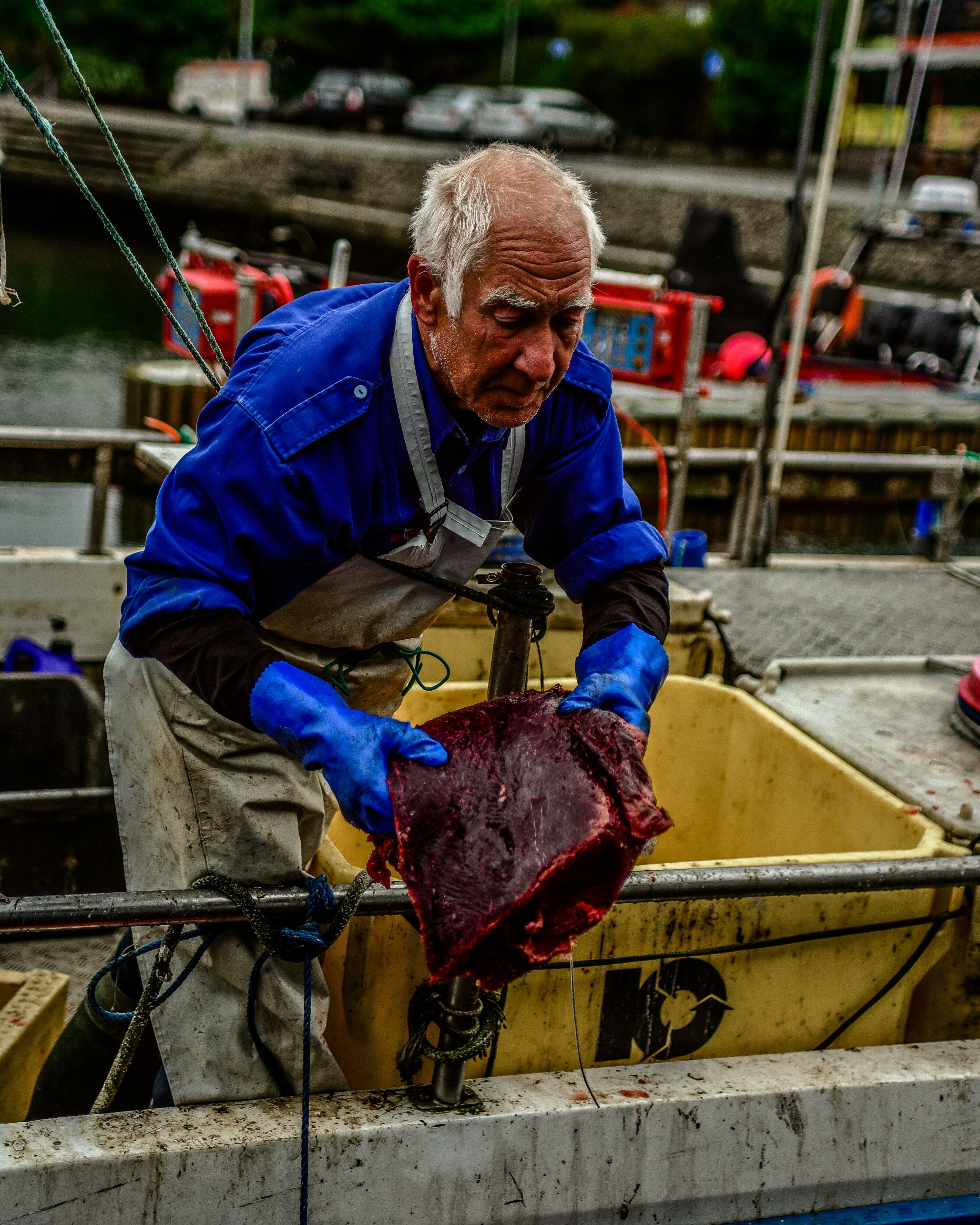 Blue apron, red catch: a fisherman weighs with seasoned hands