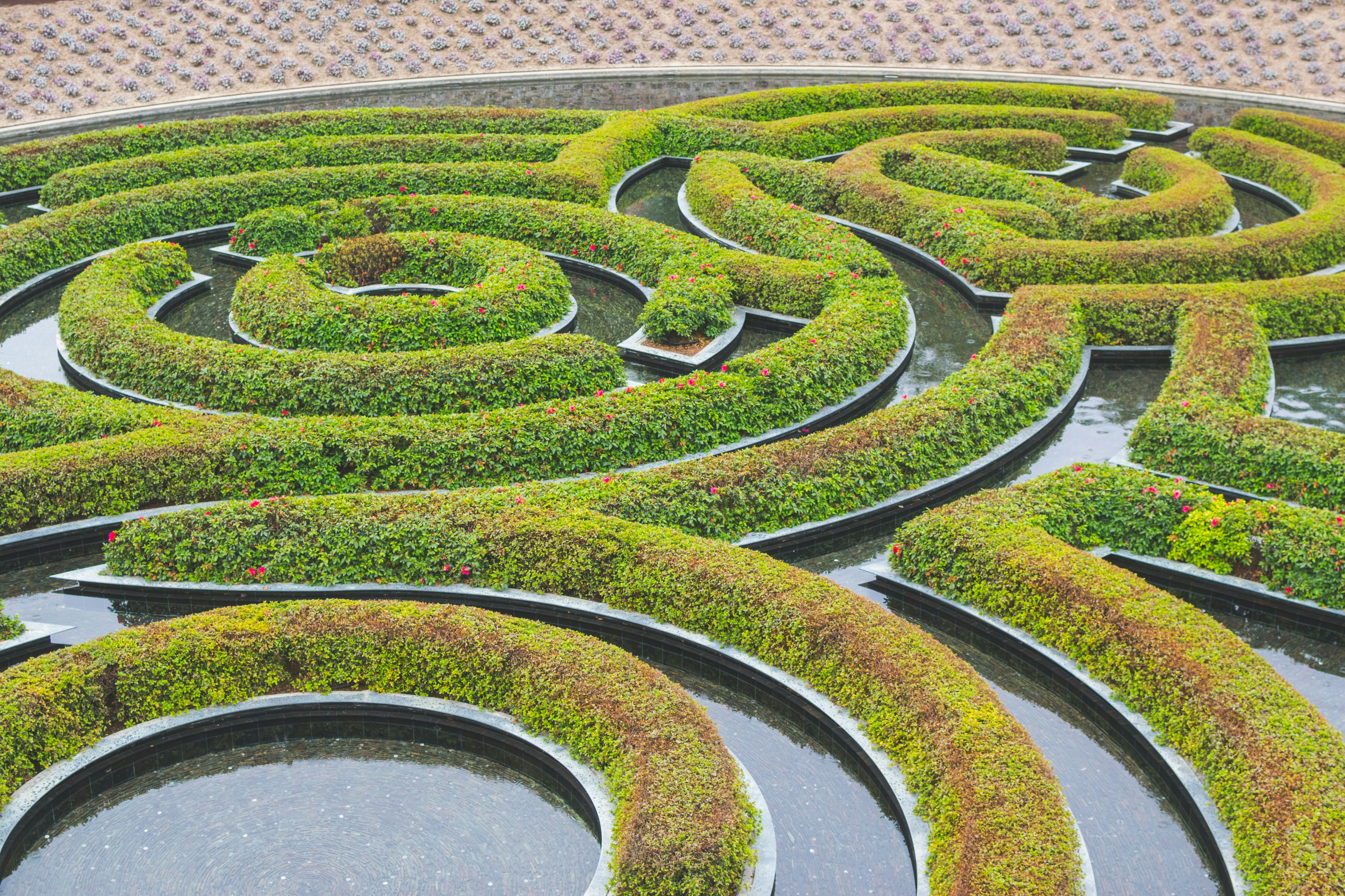 Green spiral hedge photo – Free Getty center drive Image on Unsplash