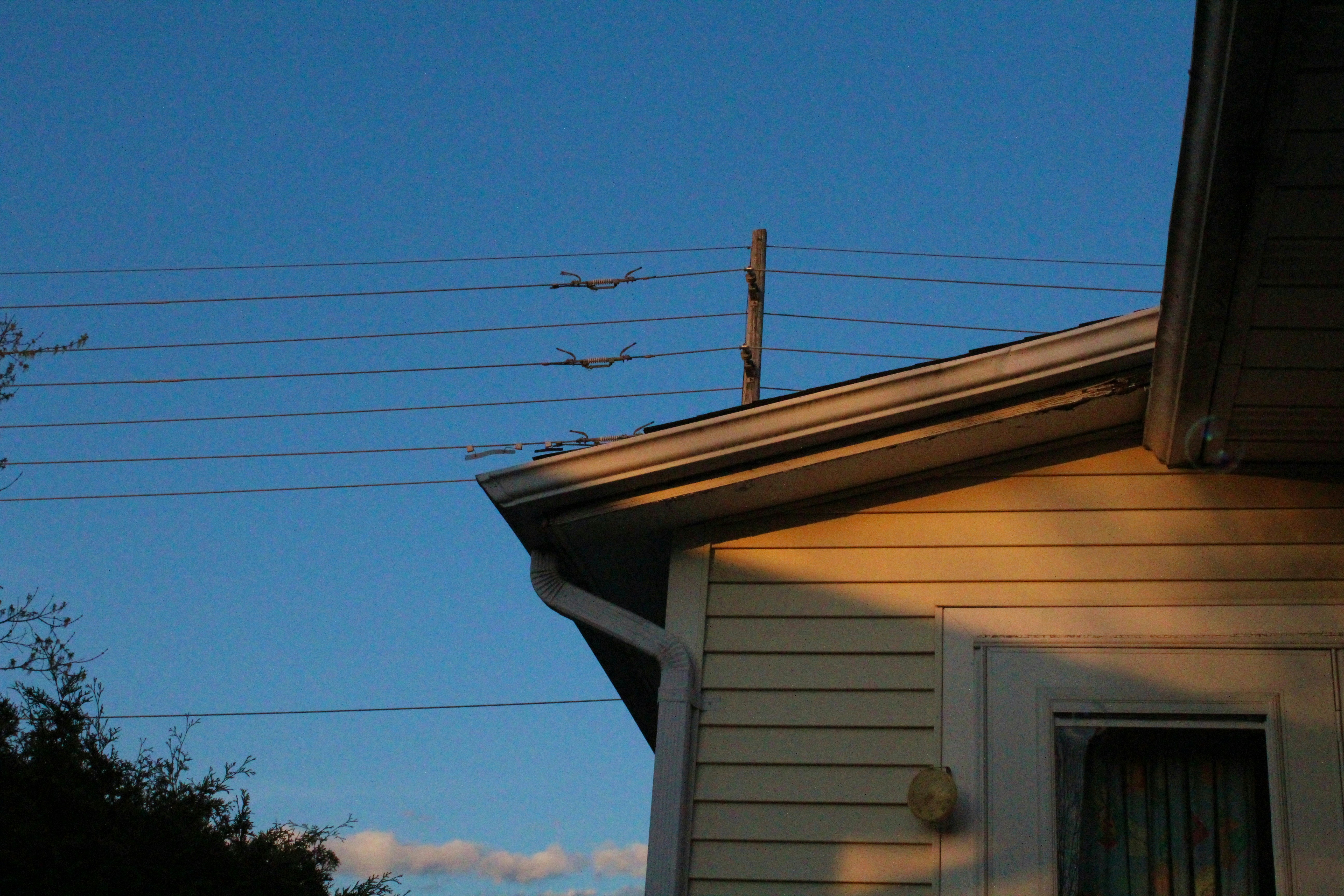Skyward Duo Over Suburban Lines