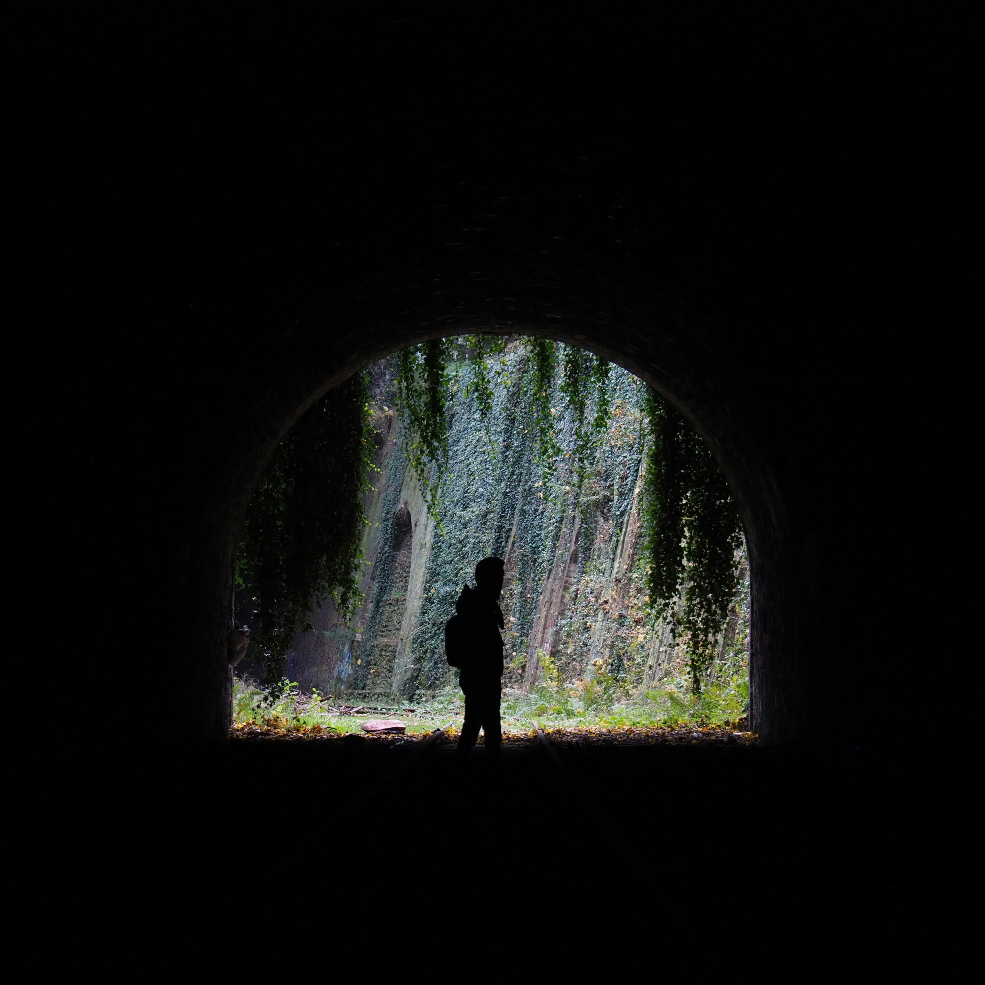 Lone Figure at the Green-Fringed Tunnel Exit