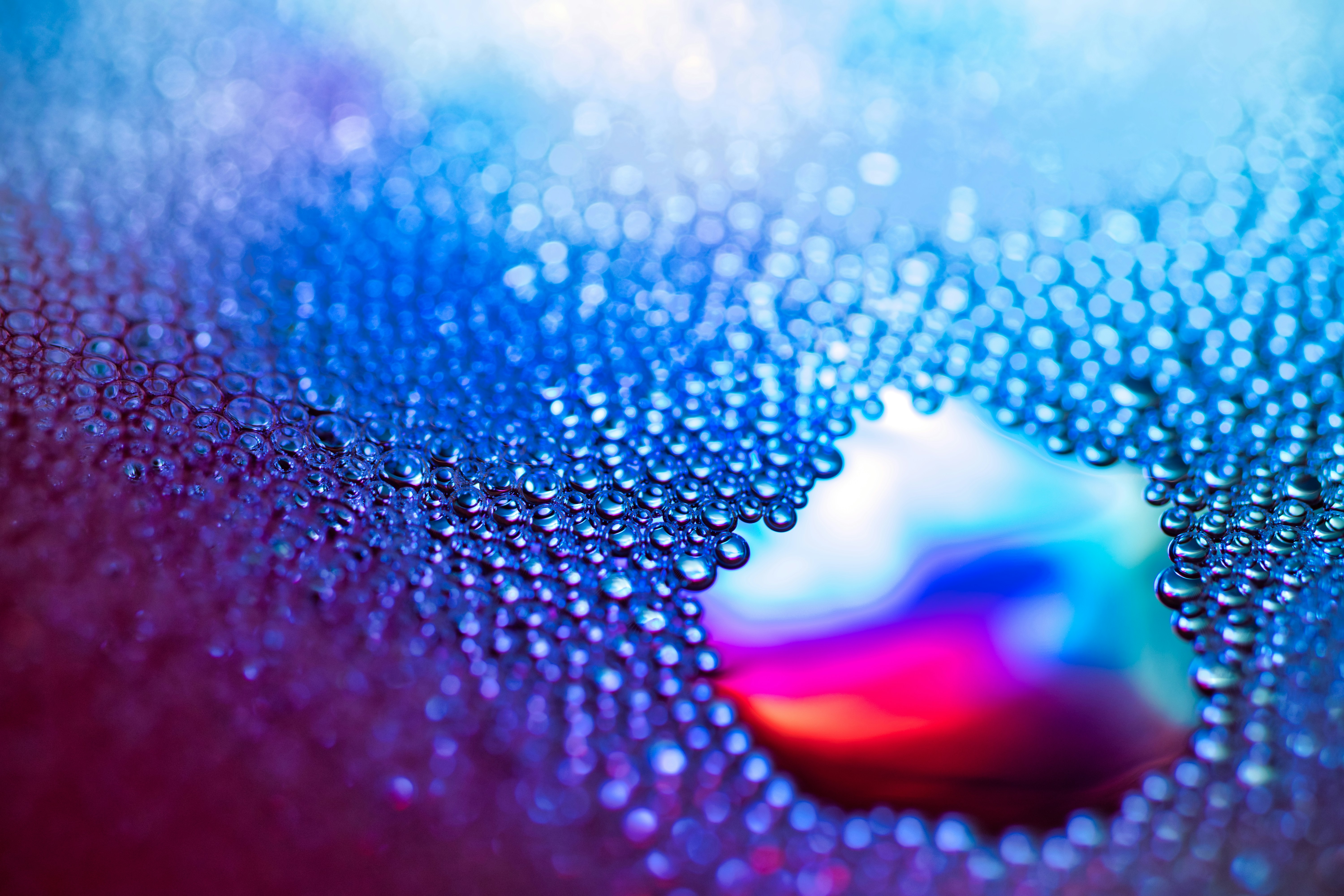 Bubbles in a Neon Abyss: Close-Up of Dew-Rimmed Orbs