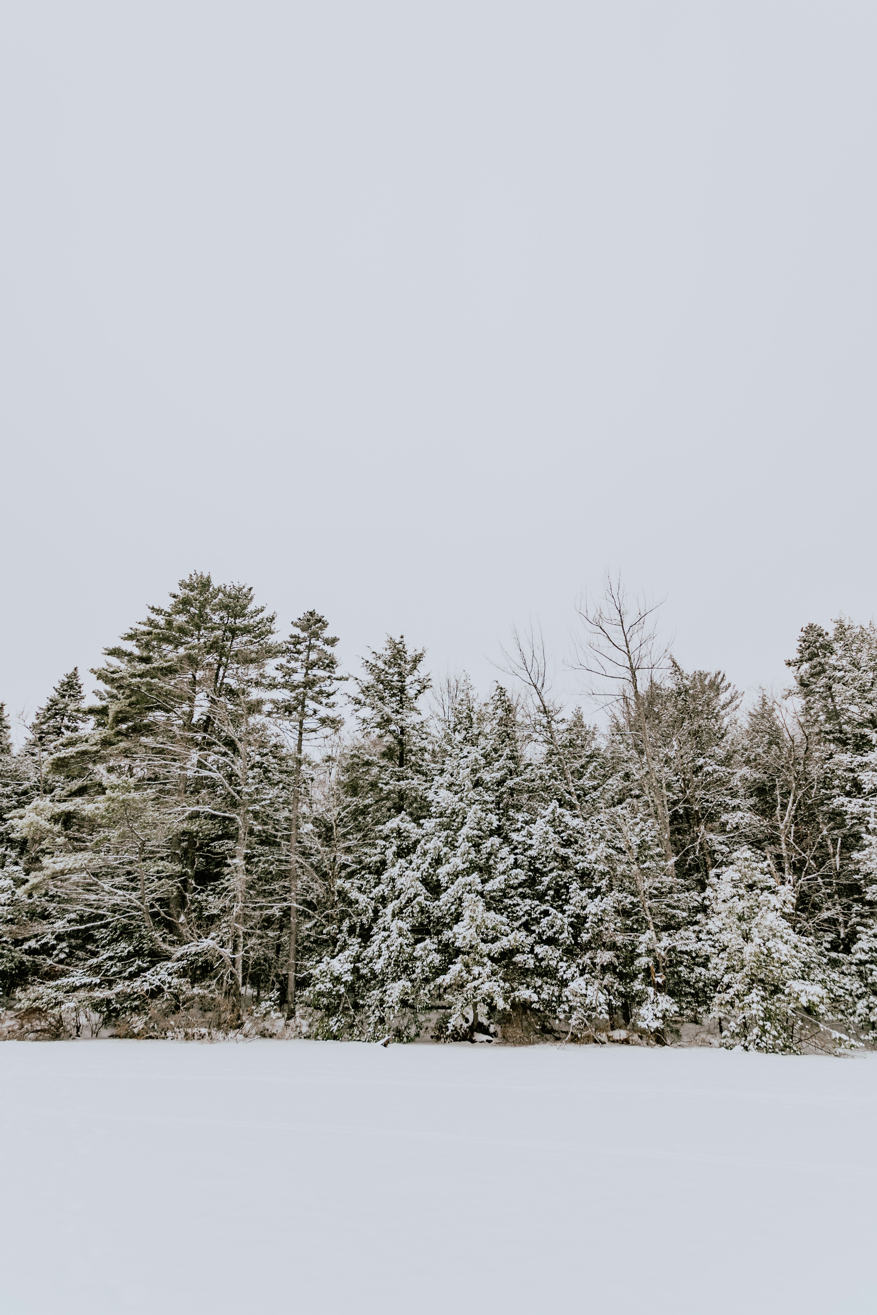 Lac De Maine Photos | Télécharger des images gratuites sur Unsplash