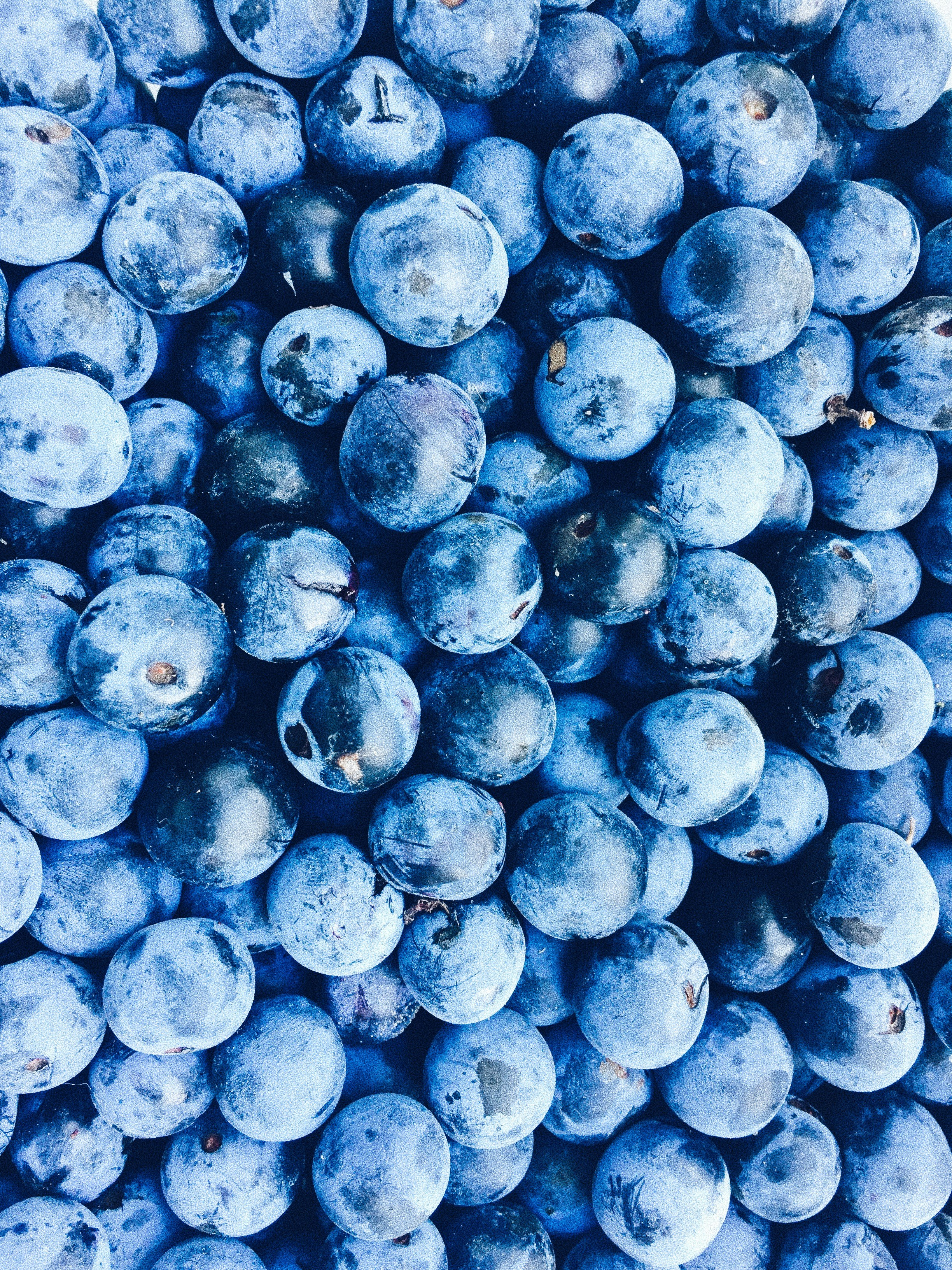 100+ Blueberries Pictures | Download Free Images on Unsplash