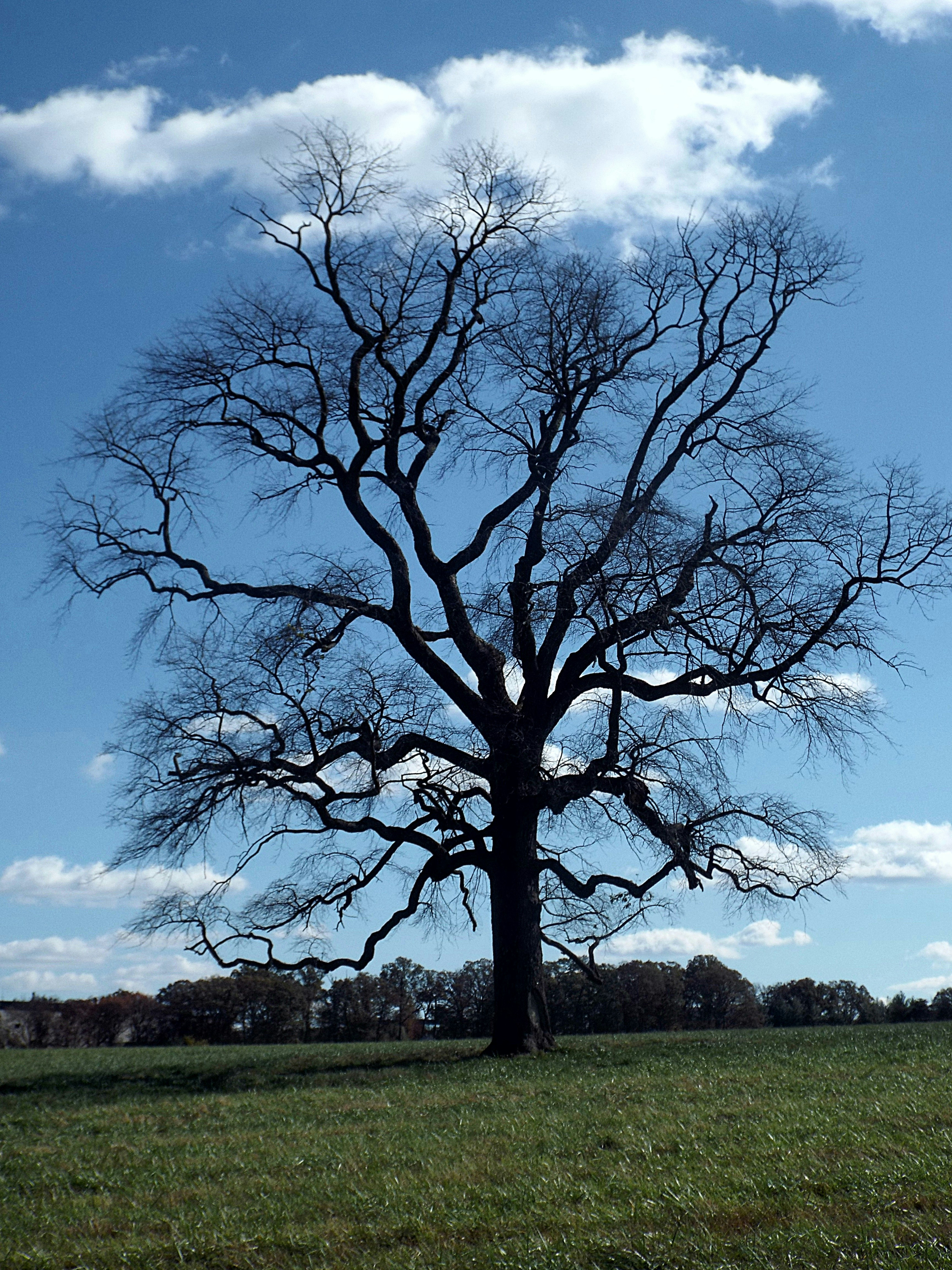 Charles Ray (@charles_ray) | Unsplash Photo Community