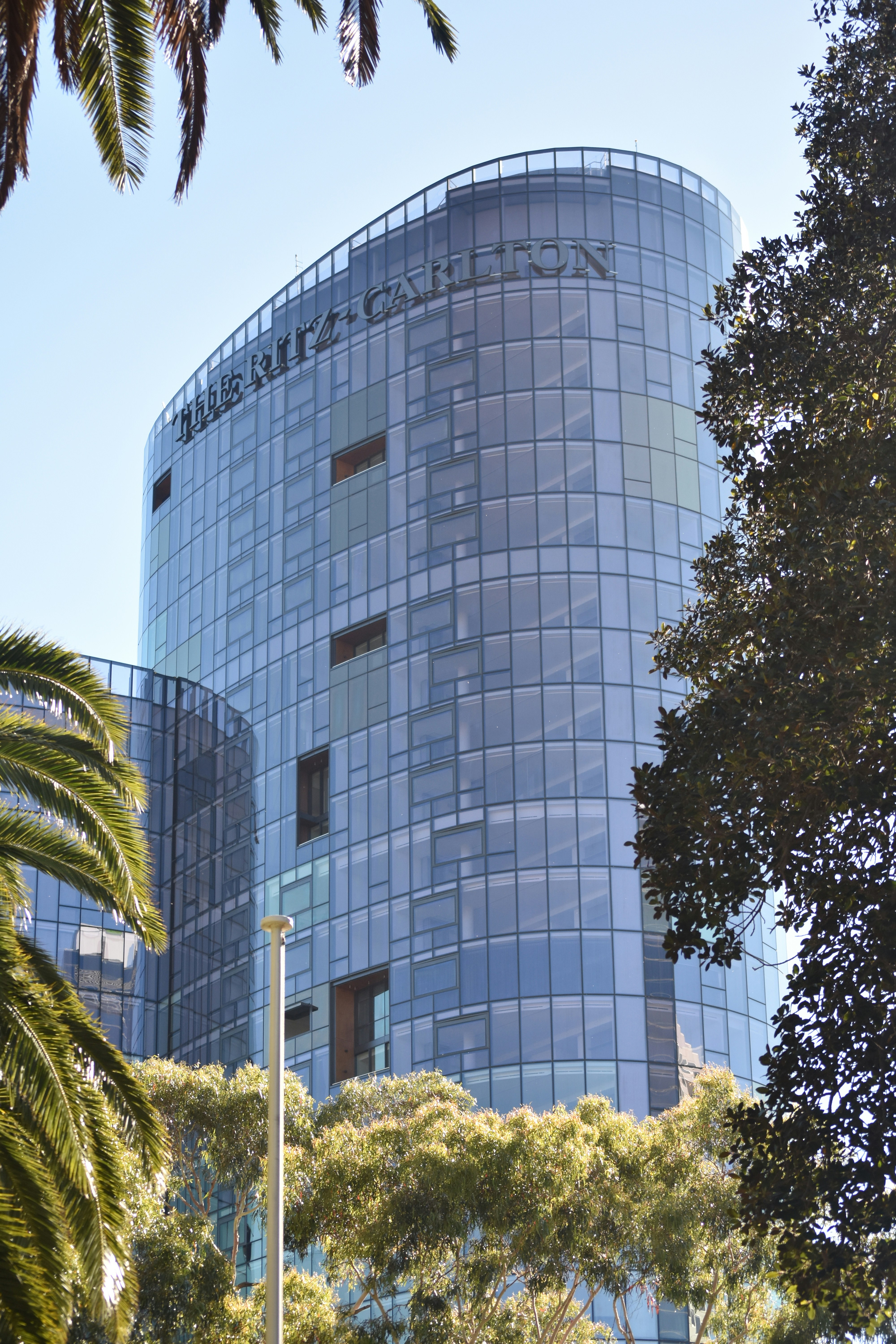 The sleek glass exterior of The Ritz-Carlton hotel reflects the surrounding palm trees and blue sky, showcasing modern architectural design.