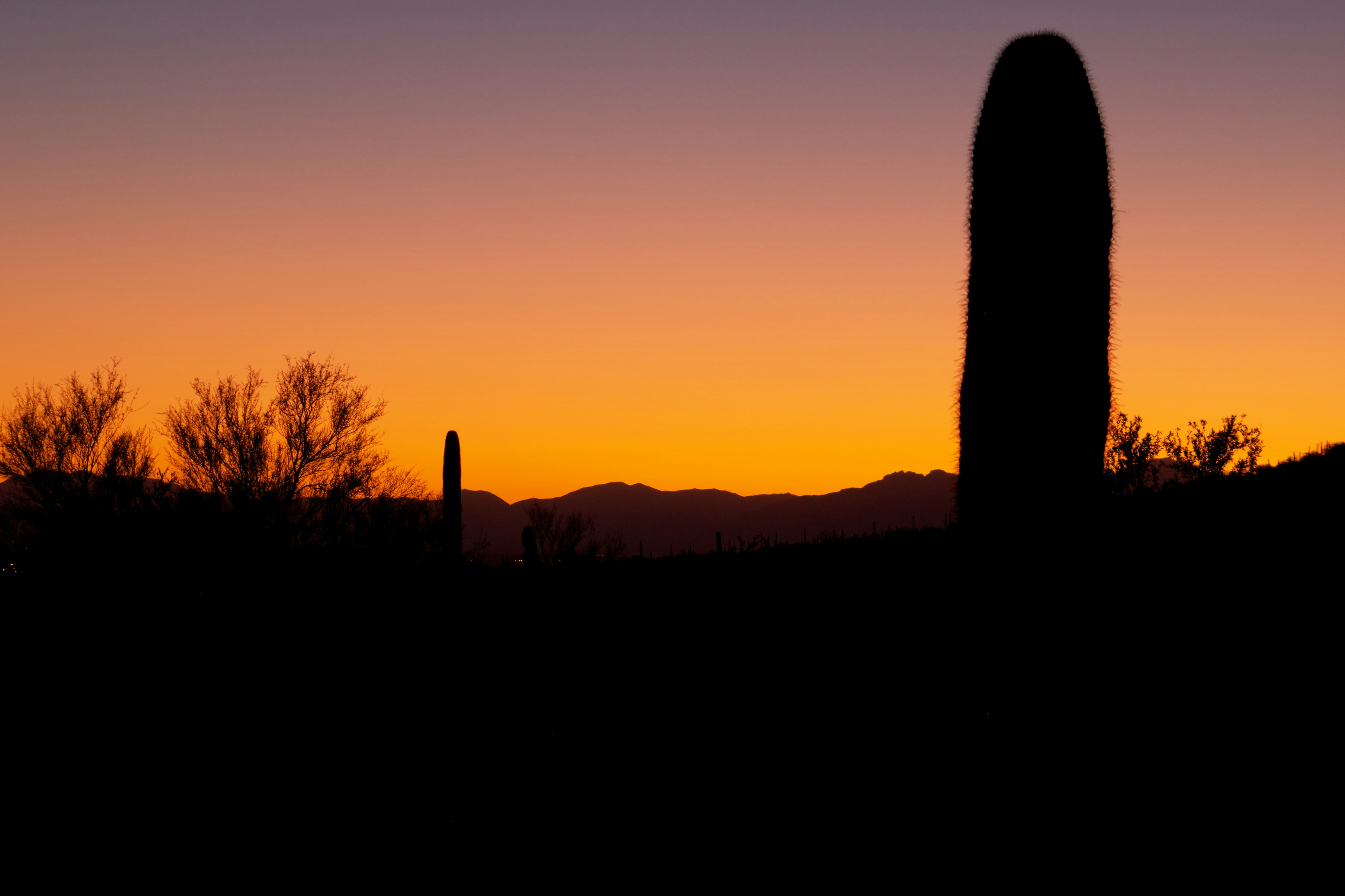 Sunset photograph photo – Free Usa Image on Unsplash