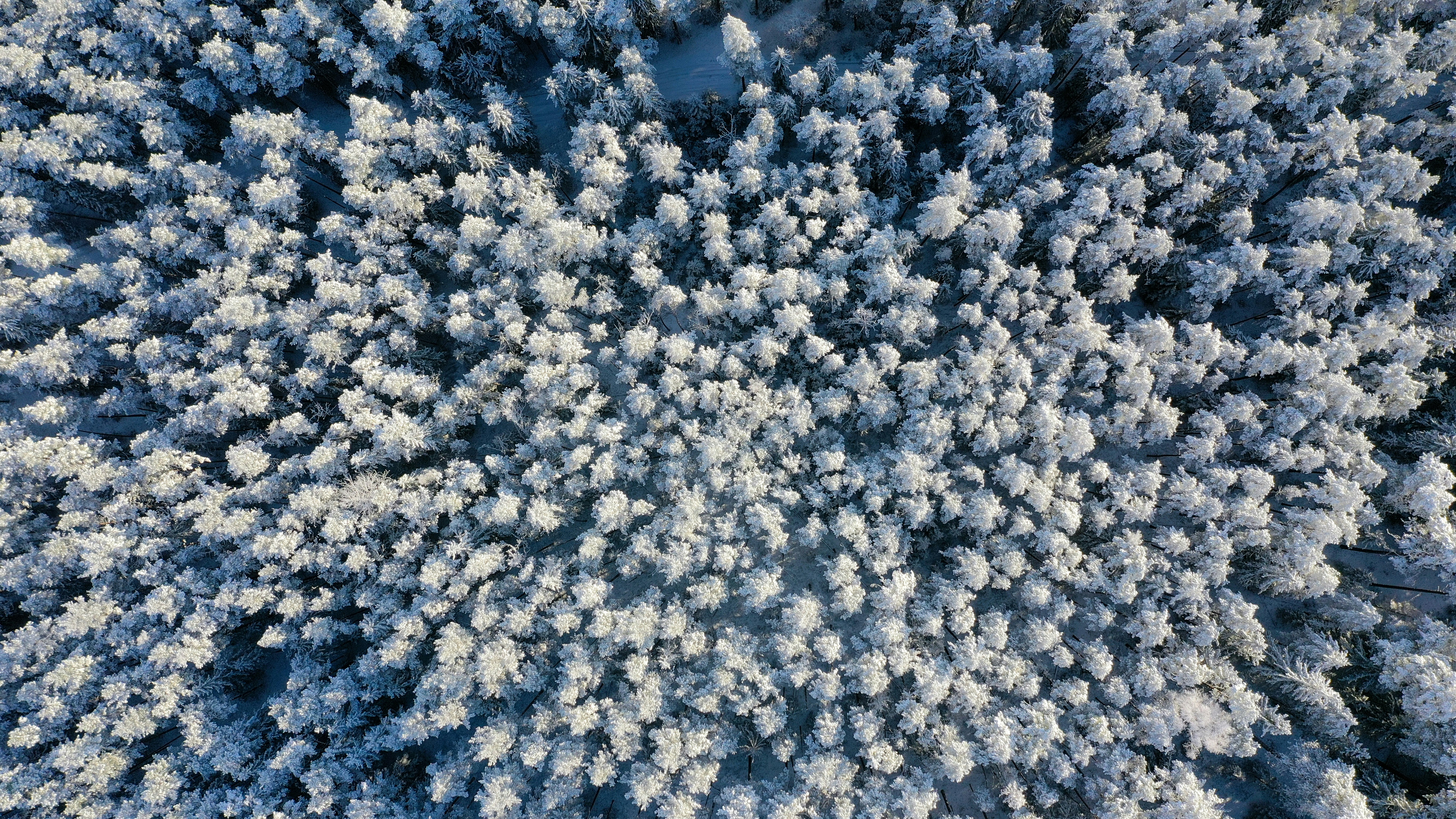 Cesu Pilseta Photos | Télécharger des images gratuites sur Unsplash