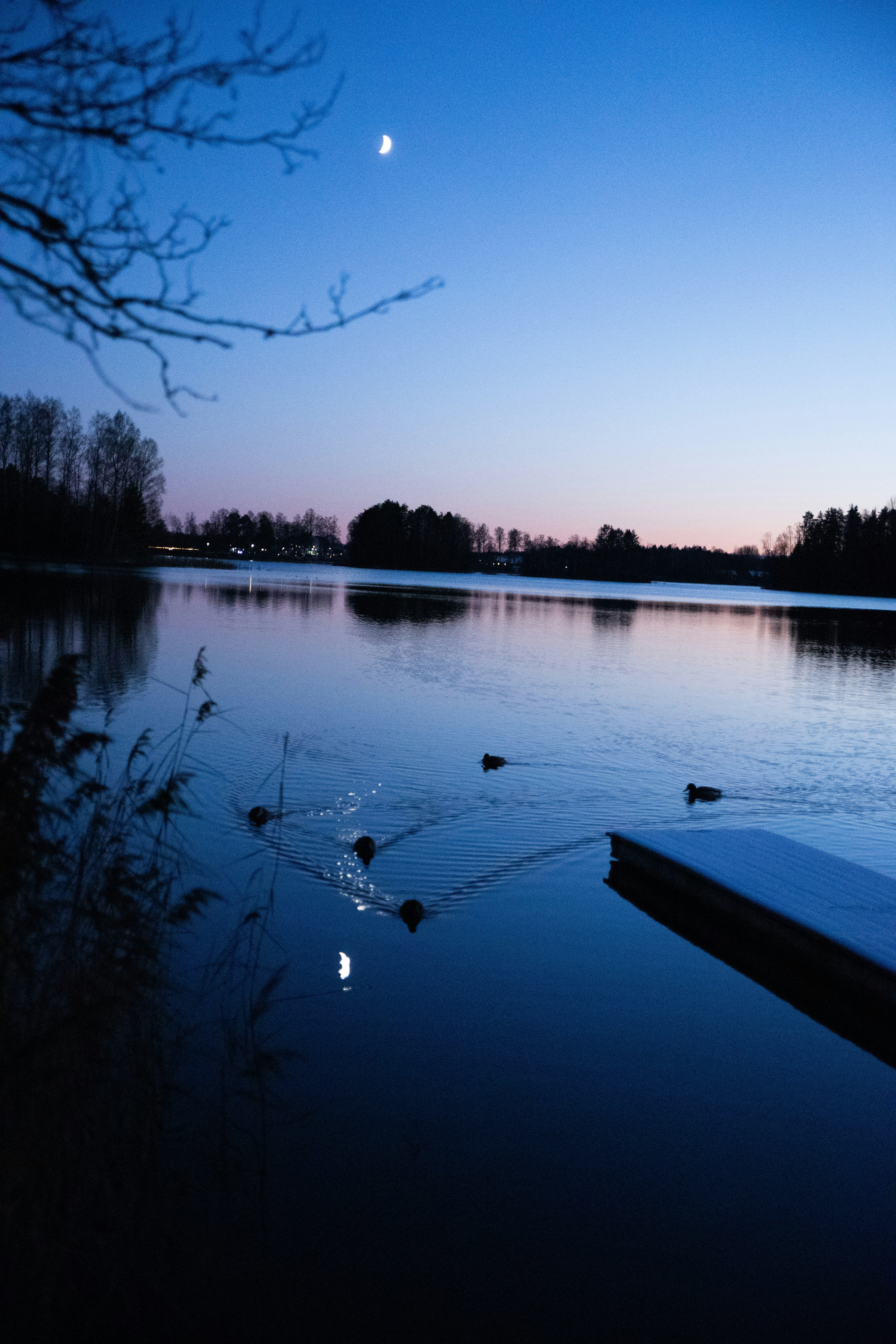 Moonlit Lake at Dusk: Silent Docks and Distant Lights