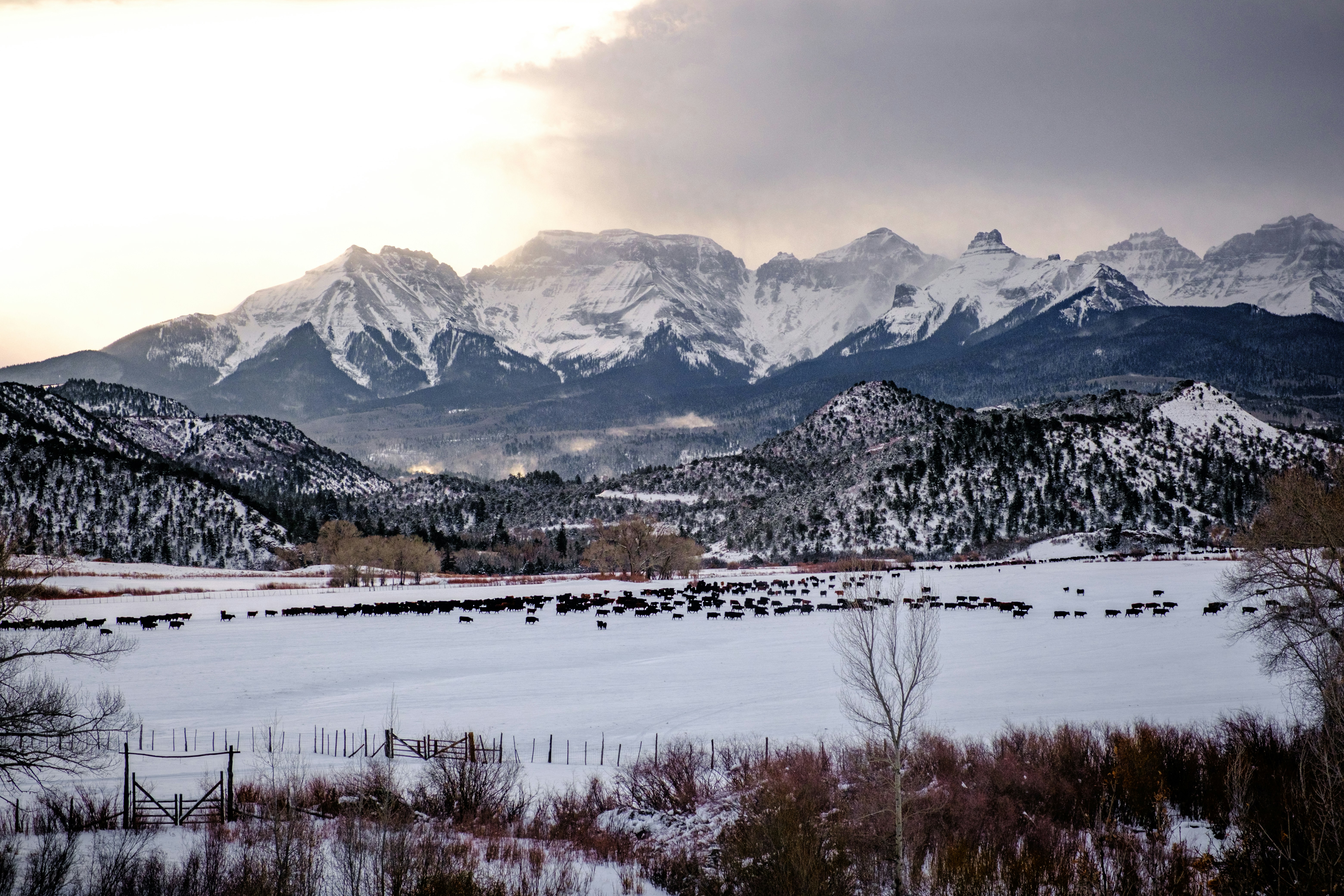 Snow-covered field with majestic glacier mountains under a cloudy sky.