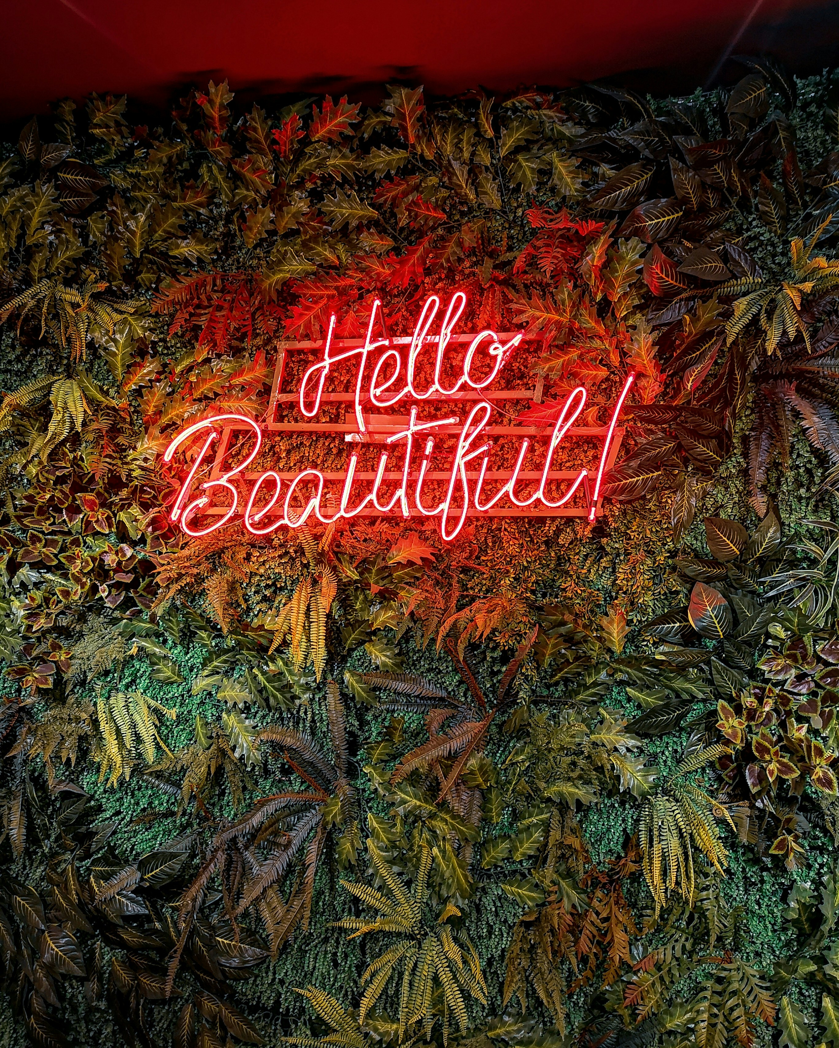 Hello beautiful signage photo – Free Zenith brunch & cocktails - madrid ...