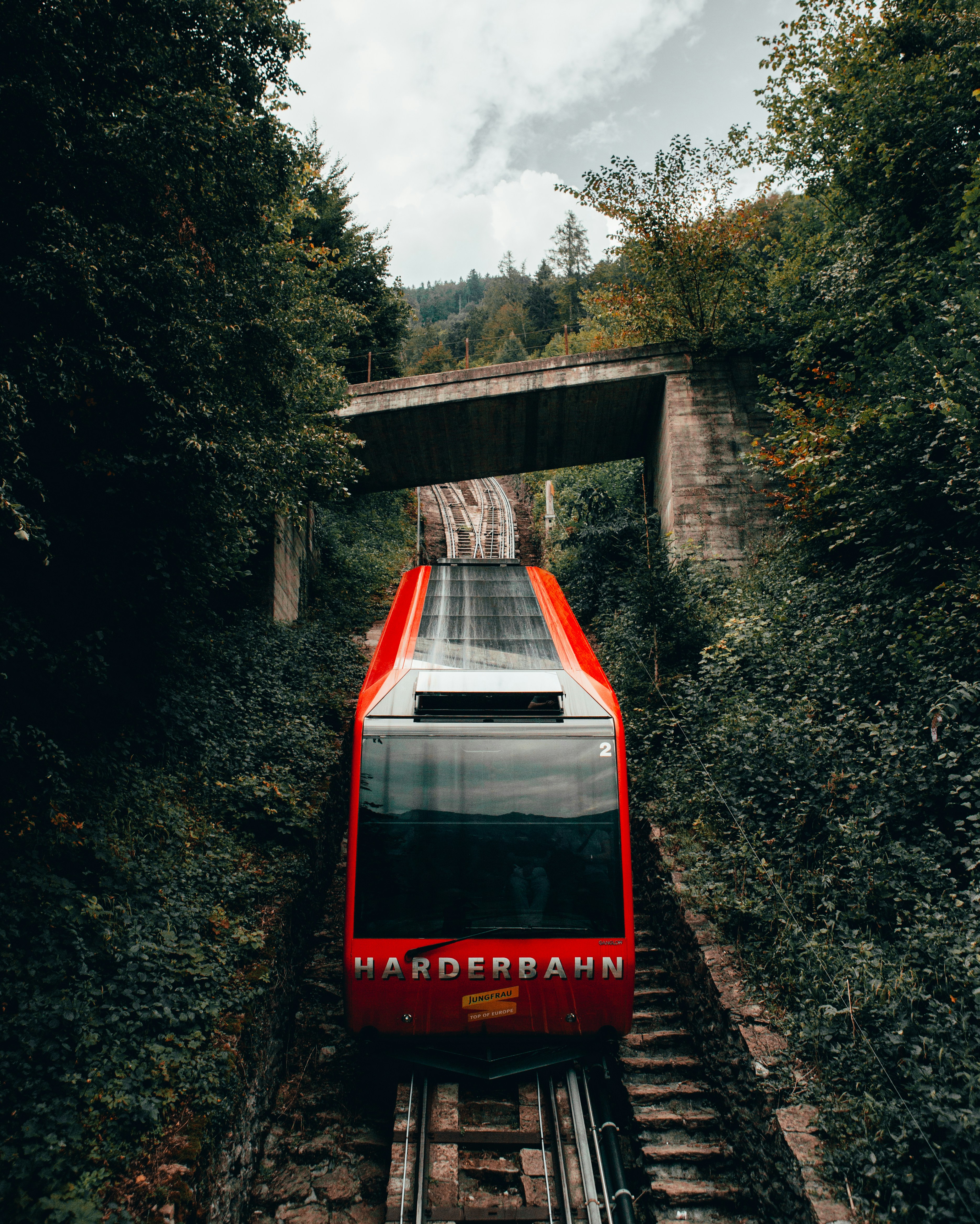 Red Gondola Descent through Verdant Vue