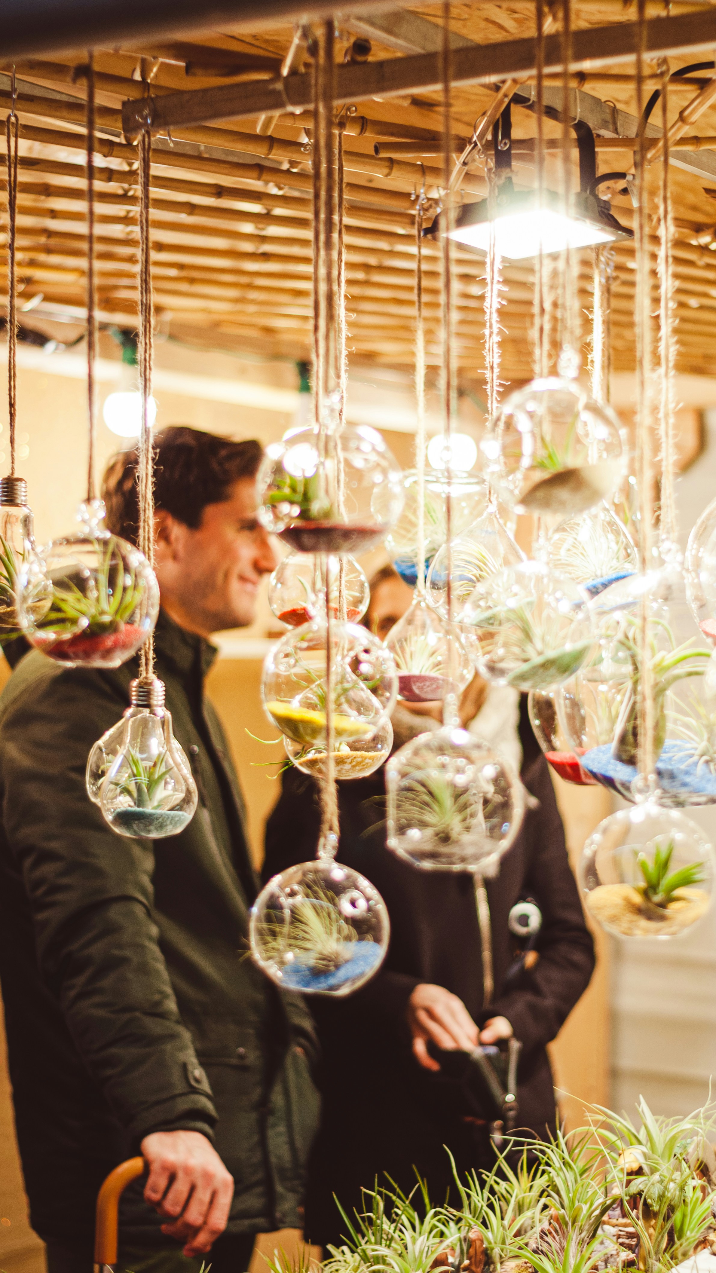 Suspended Glass Terrariums and a Conversational Crowd