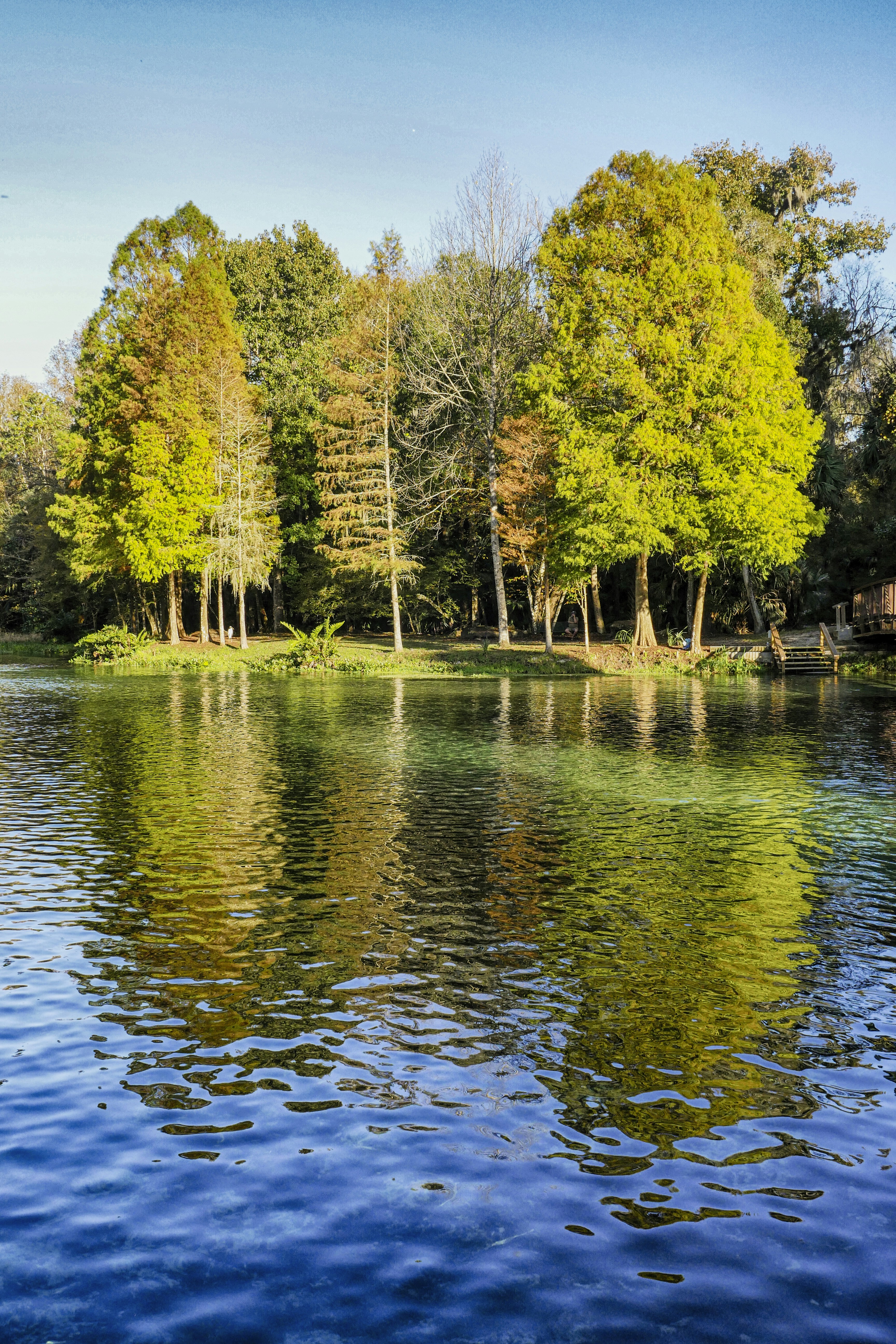 Parc Kelly Photos | Télécharger des images gratuites sur Unsplash