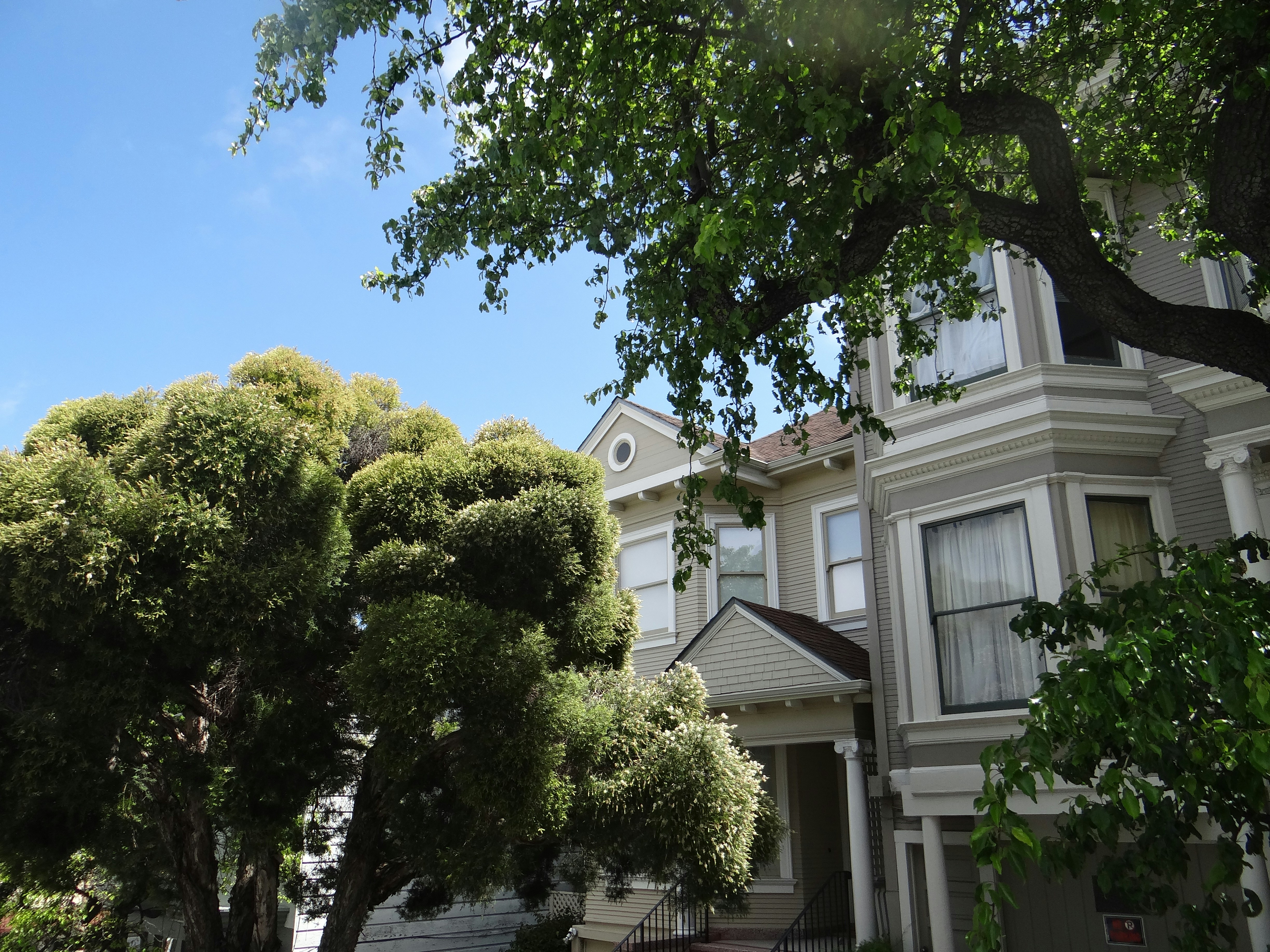 Sunlit Victorian-style house framed by dense, sculpted trees under a clear blue sky.