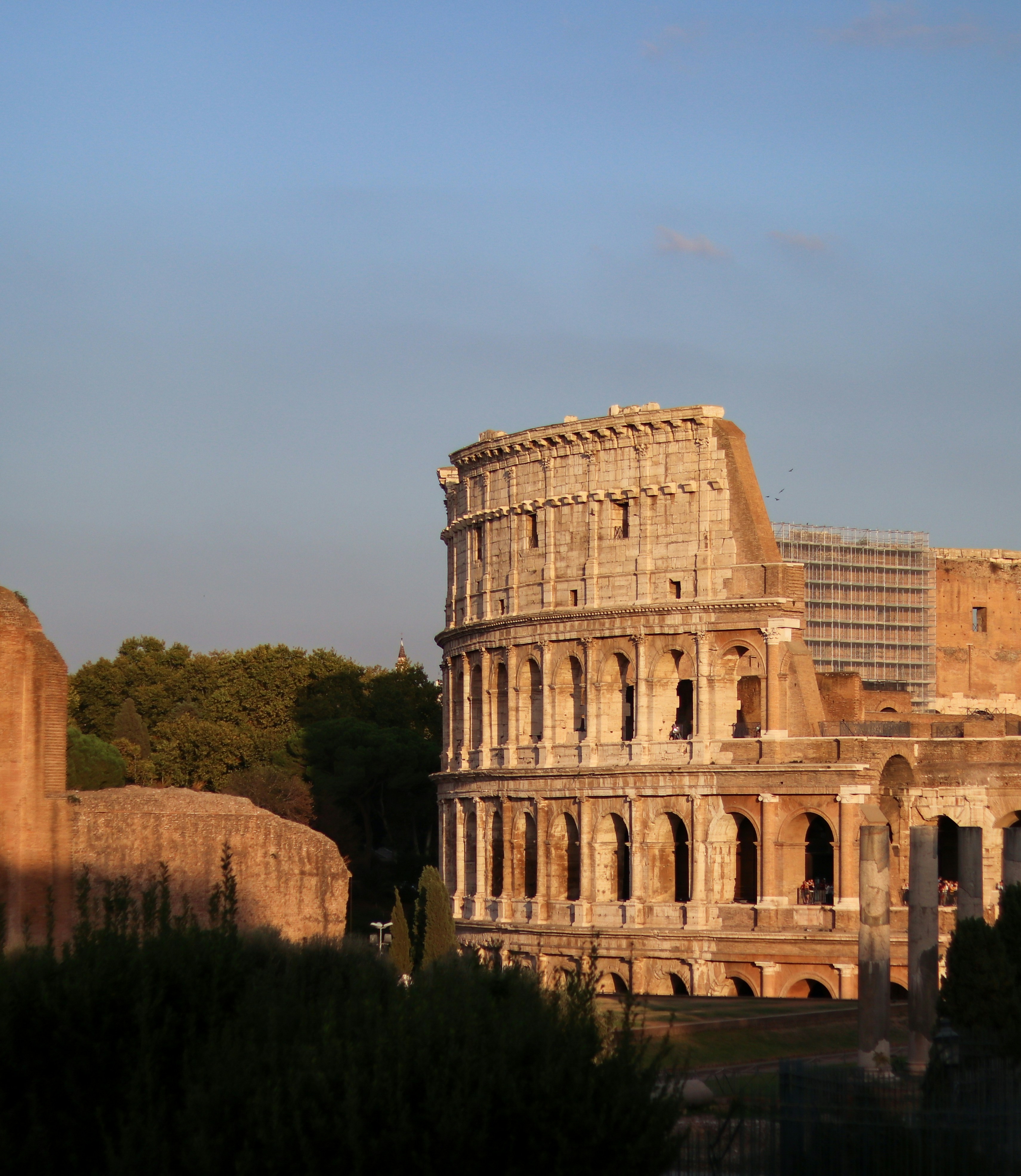 View of the Colloseum from Roman Forums | brown coliseum