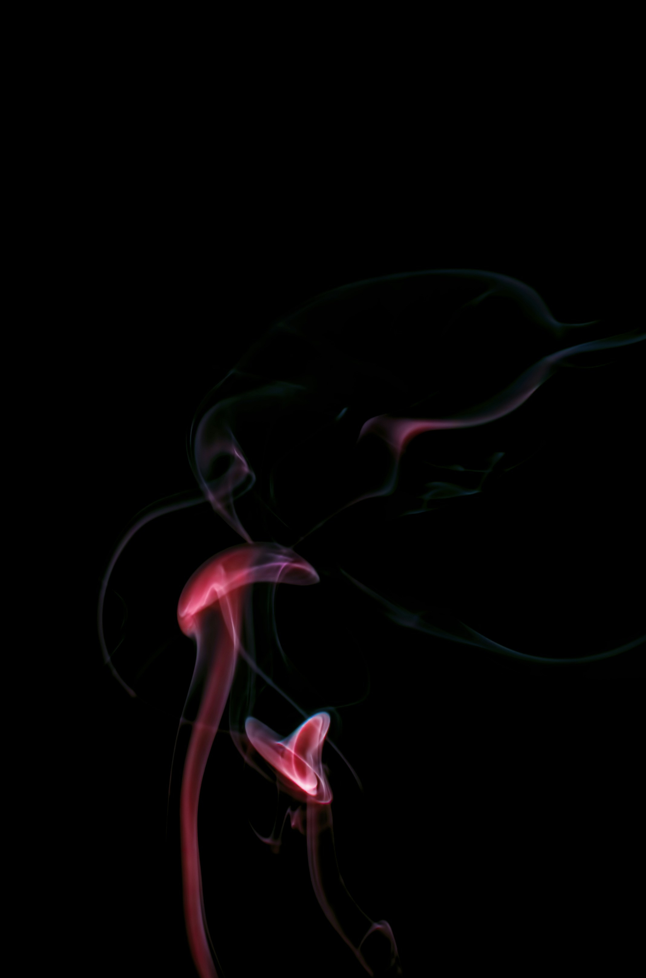 Prince David (@bravoprince) | Communauté photos Unsplash