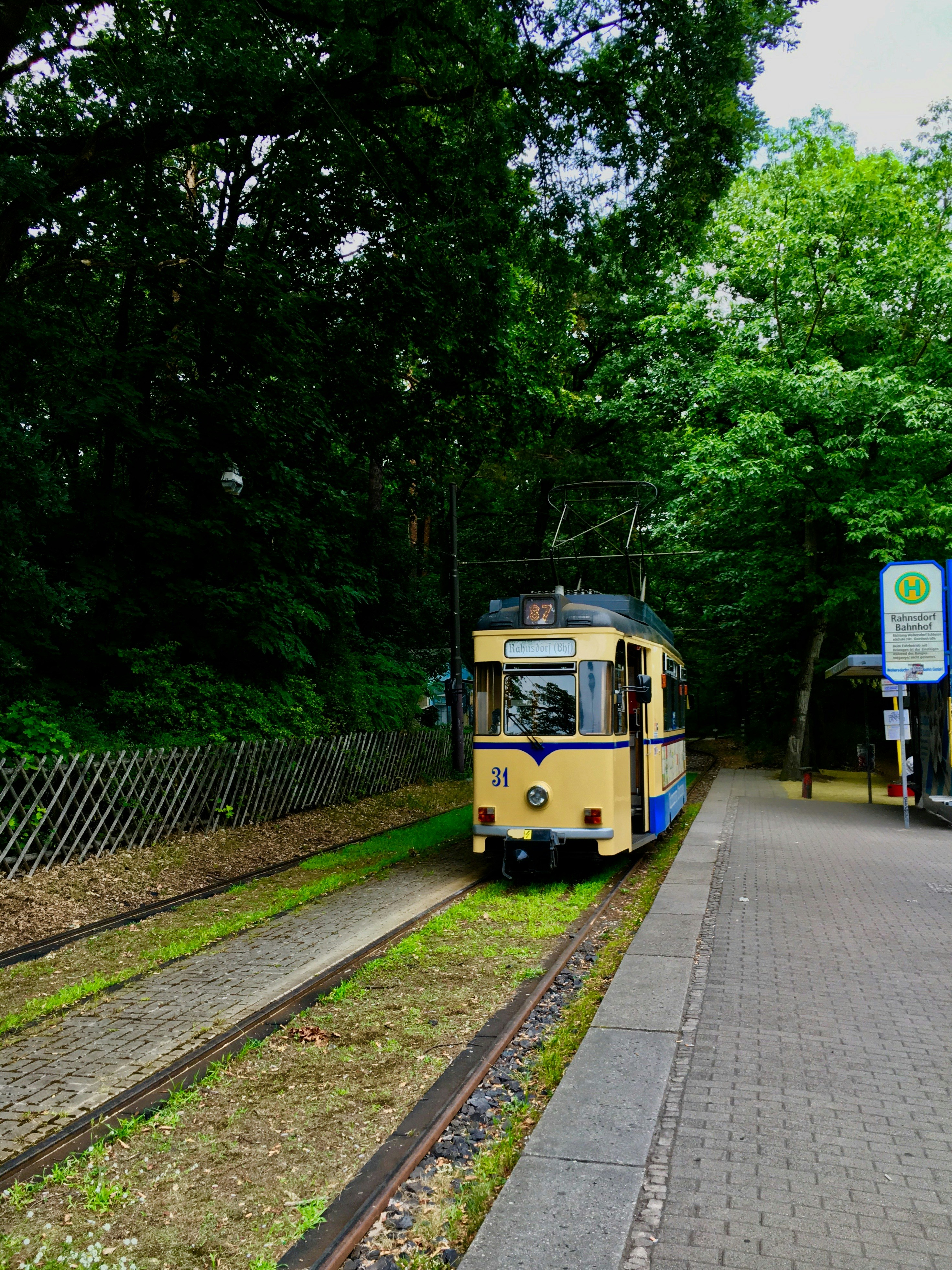 Vintage tram number 31 parked beside a lush green forest with a nearby bus stop sign. The scene evokes a sense of nostalgia.