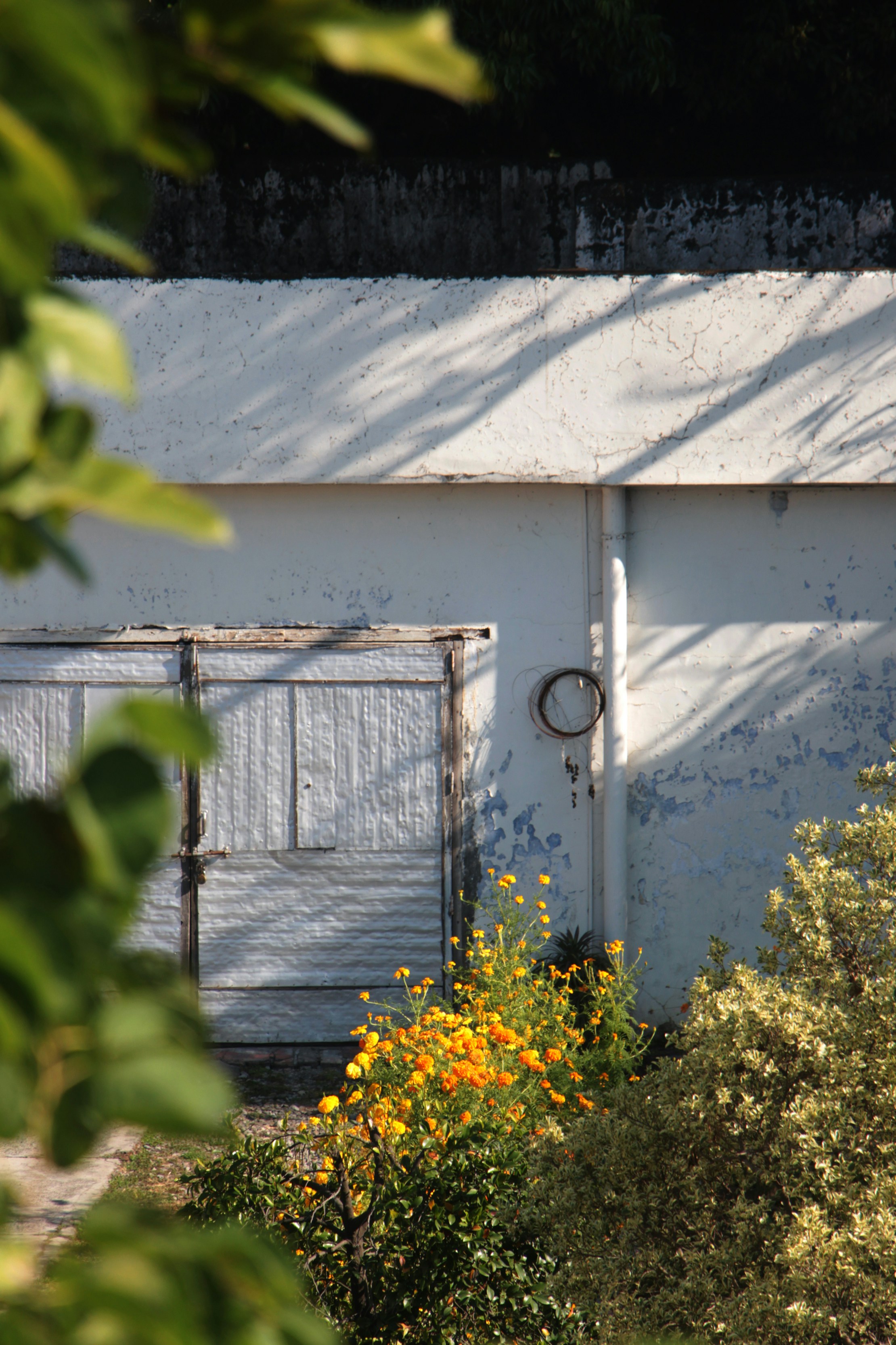 Dehradun Pictures | Download Free Images on Unsplash