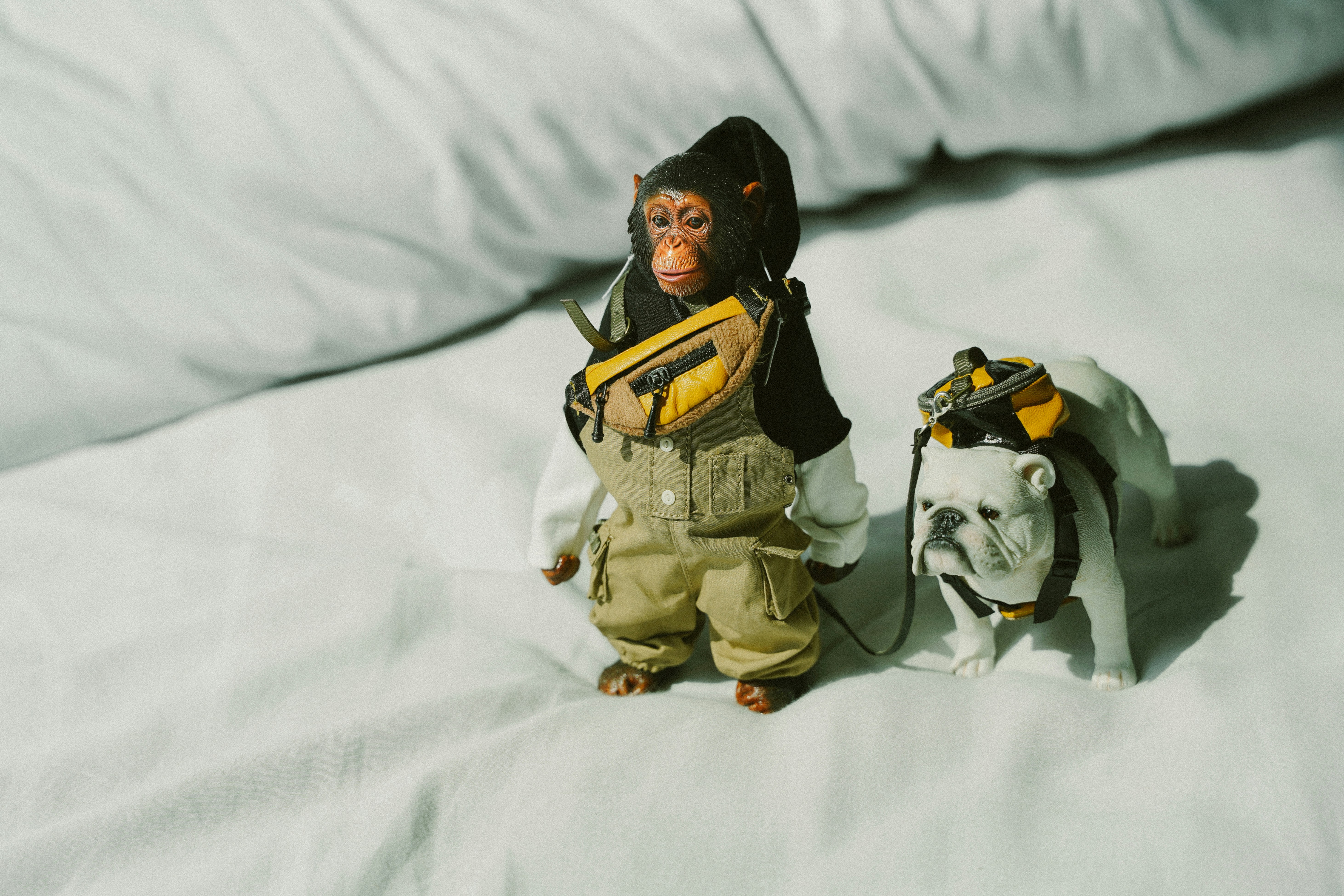 A dressed-up chimpanzee and bulldog stand on a bed, showcasing their playful outfits and gear. The scene highlights a whimsical take on pet companionship.