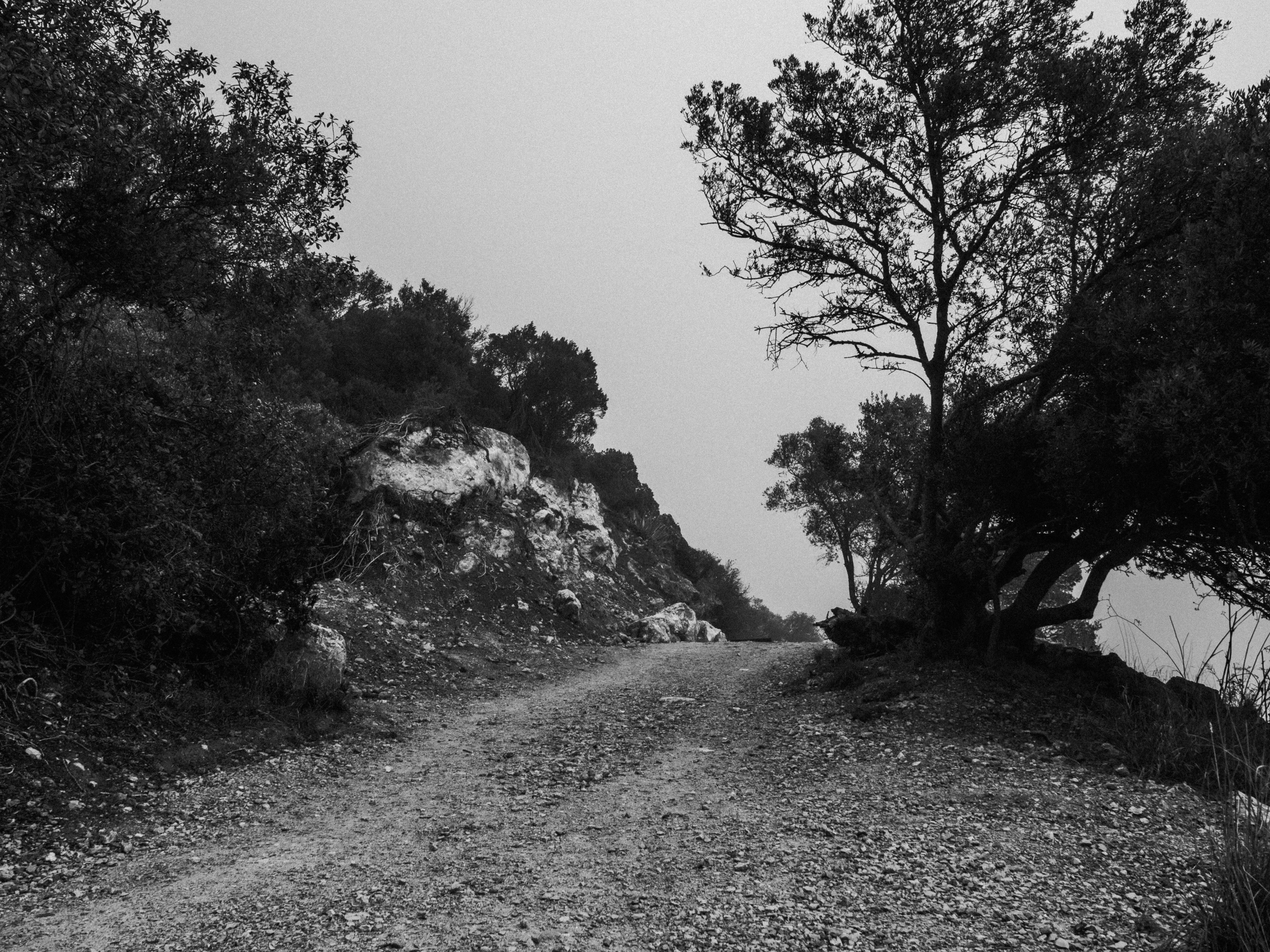 a black and white photo of a dirt road