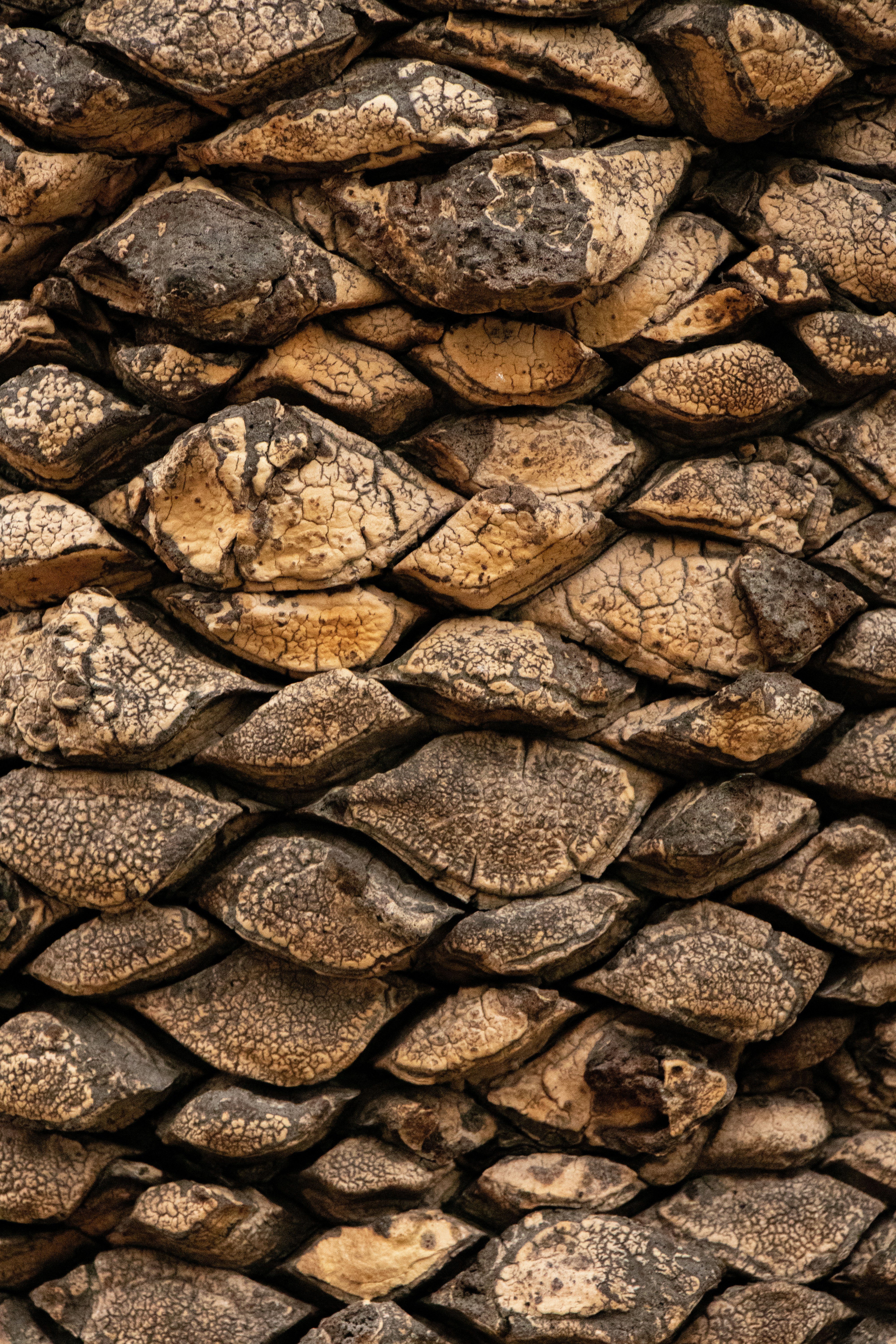 Rugged Stone Mosaic: Close-knit Granite Scales Forming a Natural Facade
