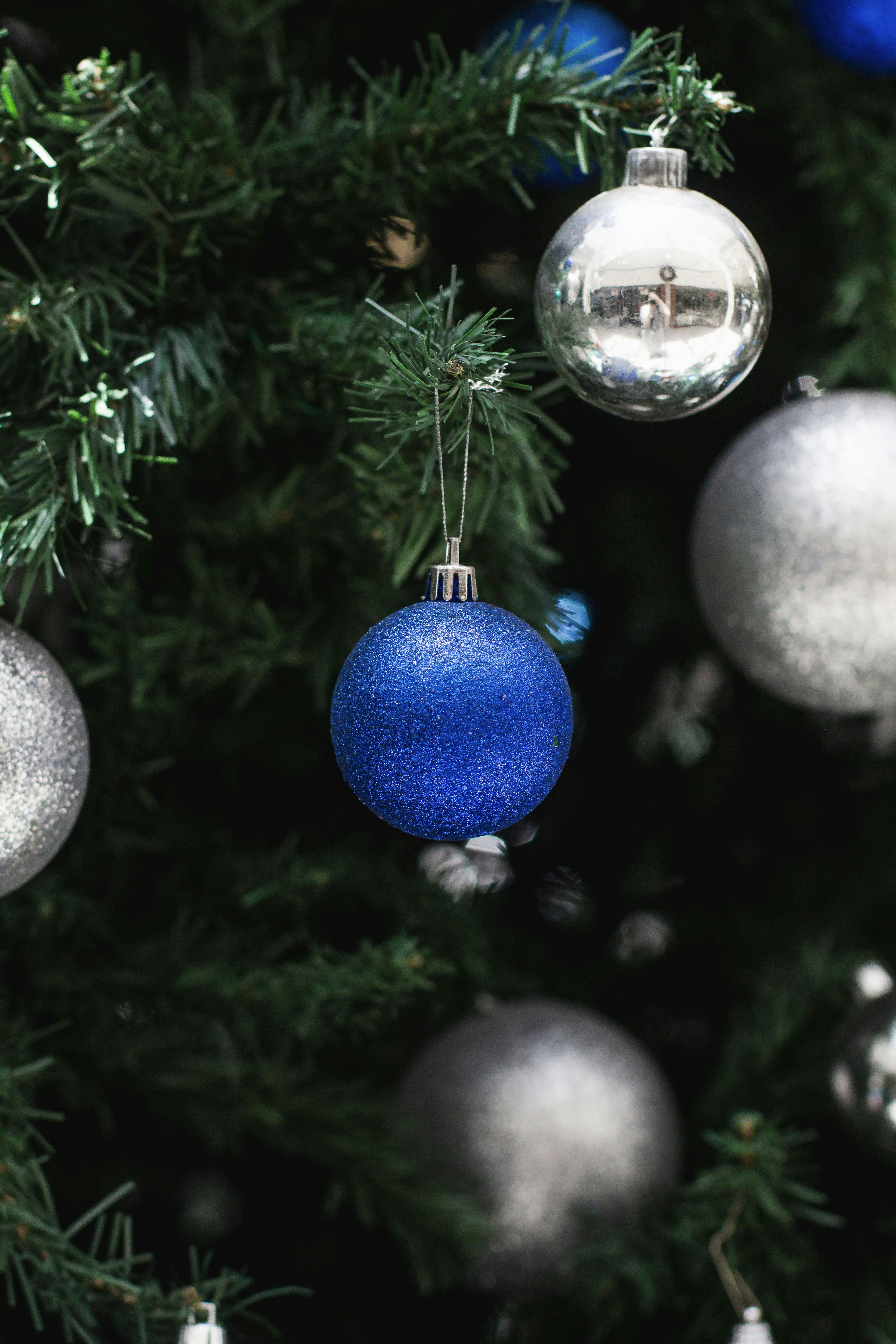 Blue Christmas Pictures | Download Free Images on Unsplash