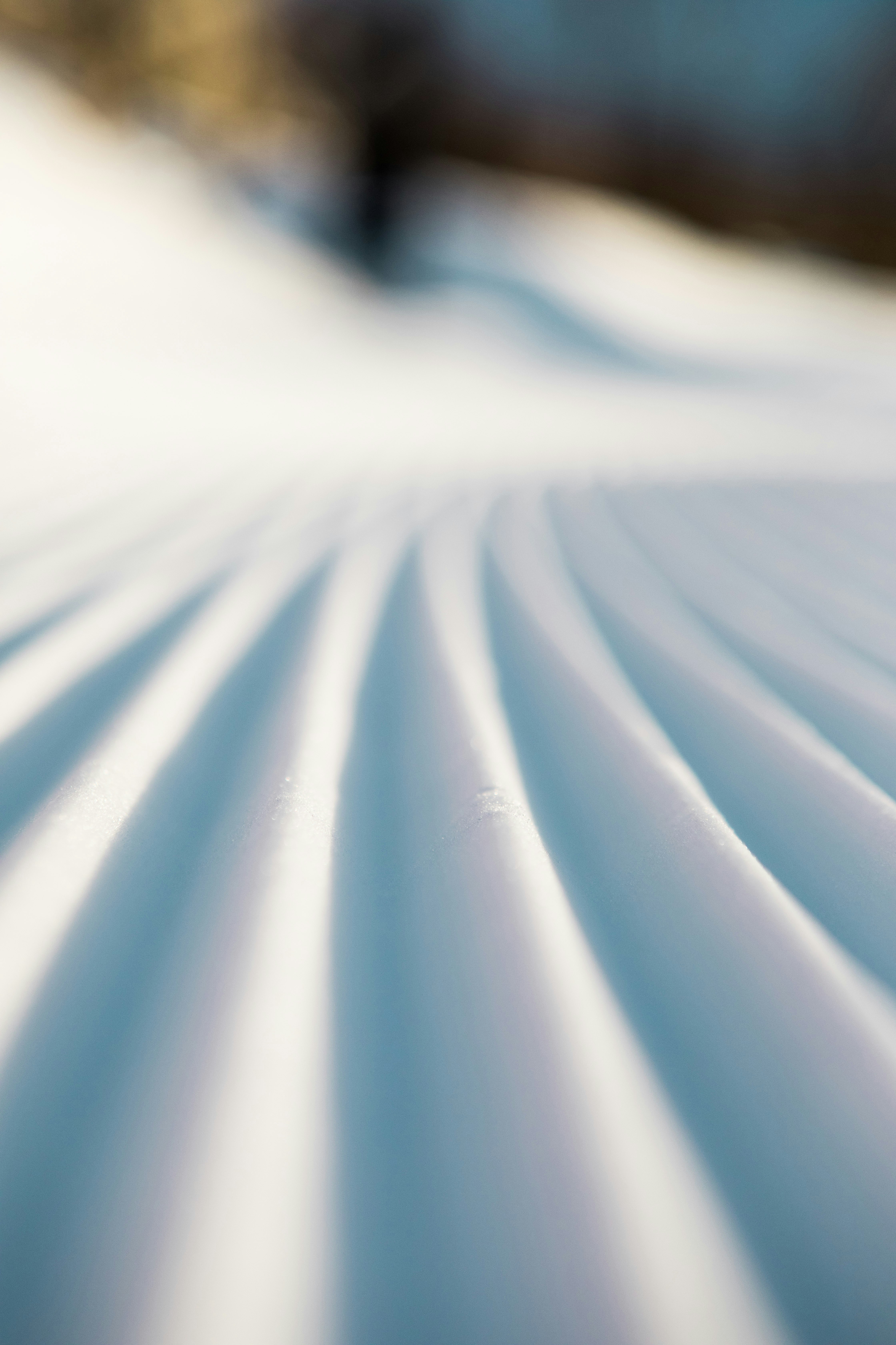 Rippled Snow Ridges in Soft Winter Light