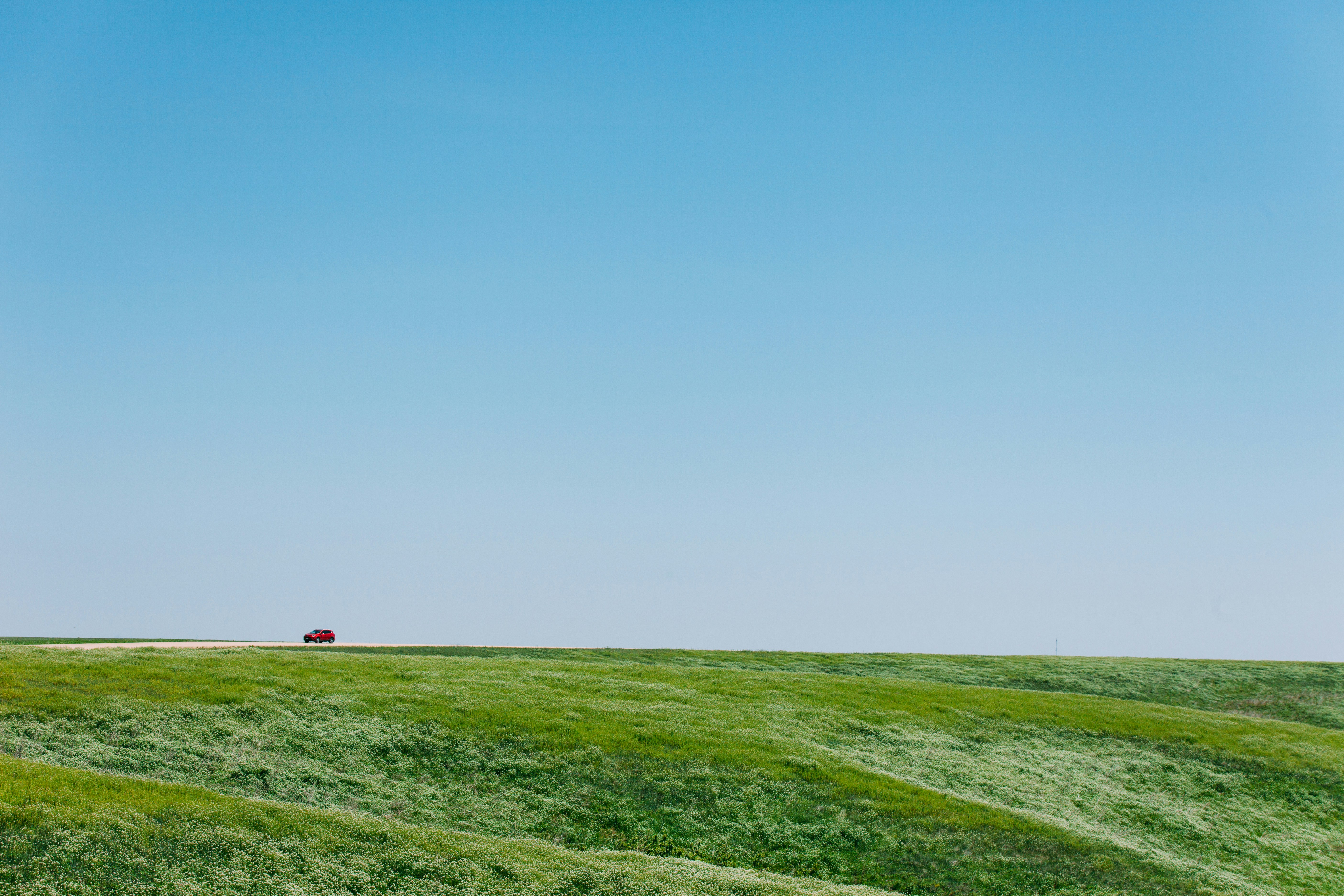 Green Pasture Pictures [HD] | Download Free Images on Unsplash