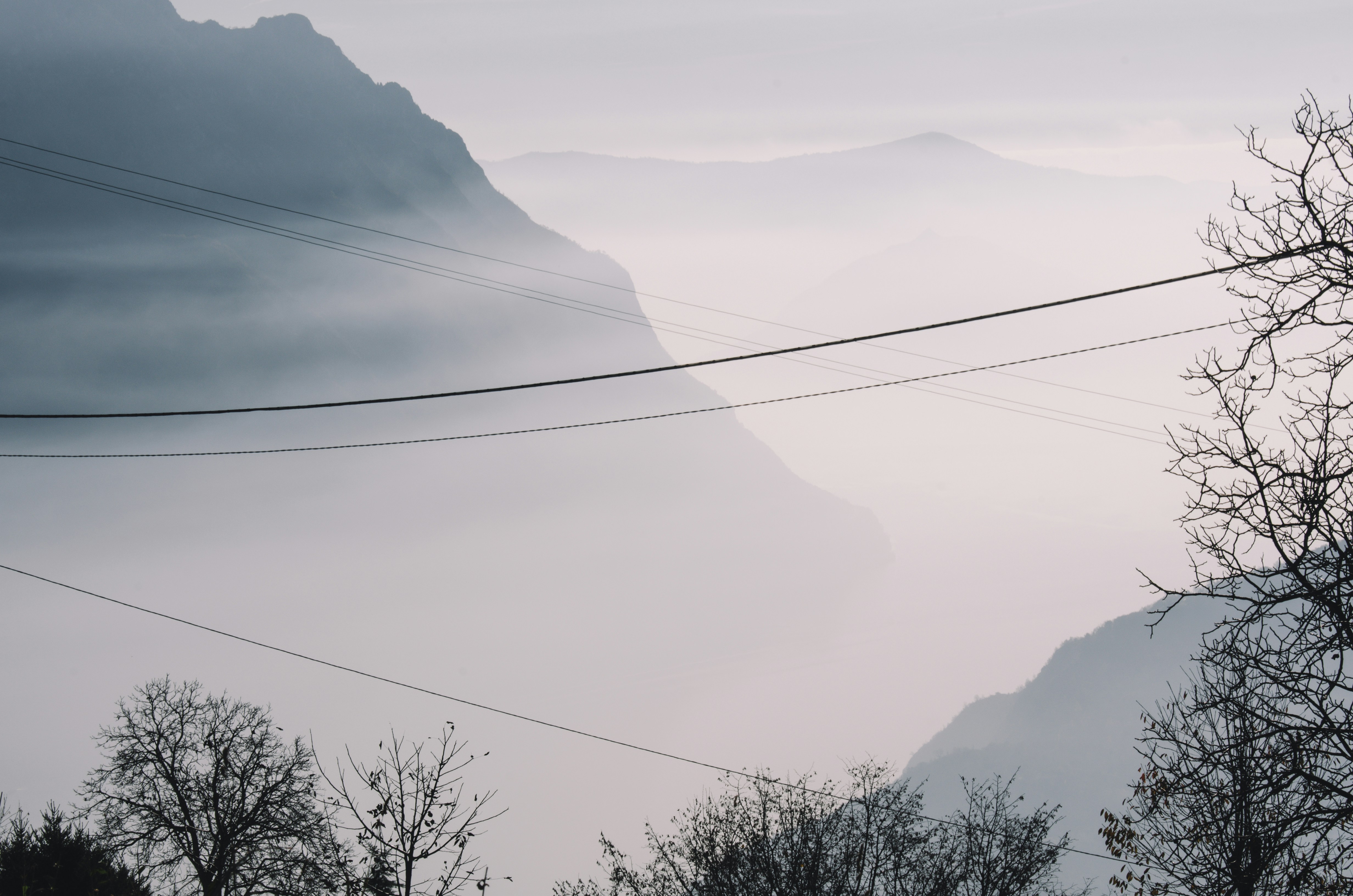 Soft, ethereal layers of mist enveloping distant mountains, with silhouetted trees and power lines adding depth to the serene landscape.