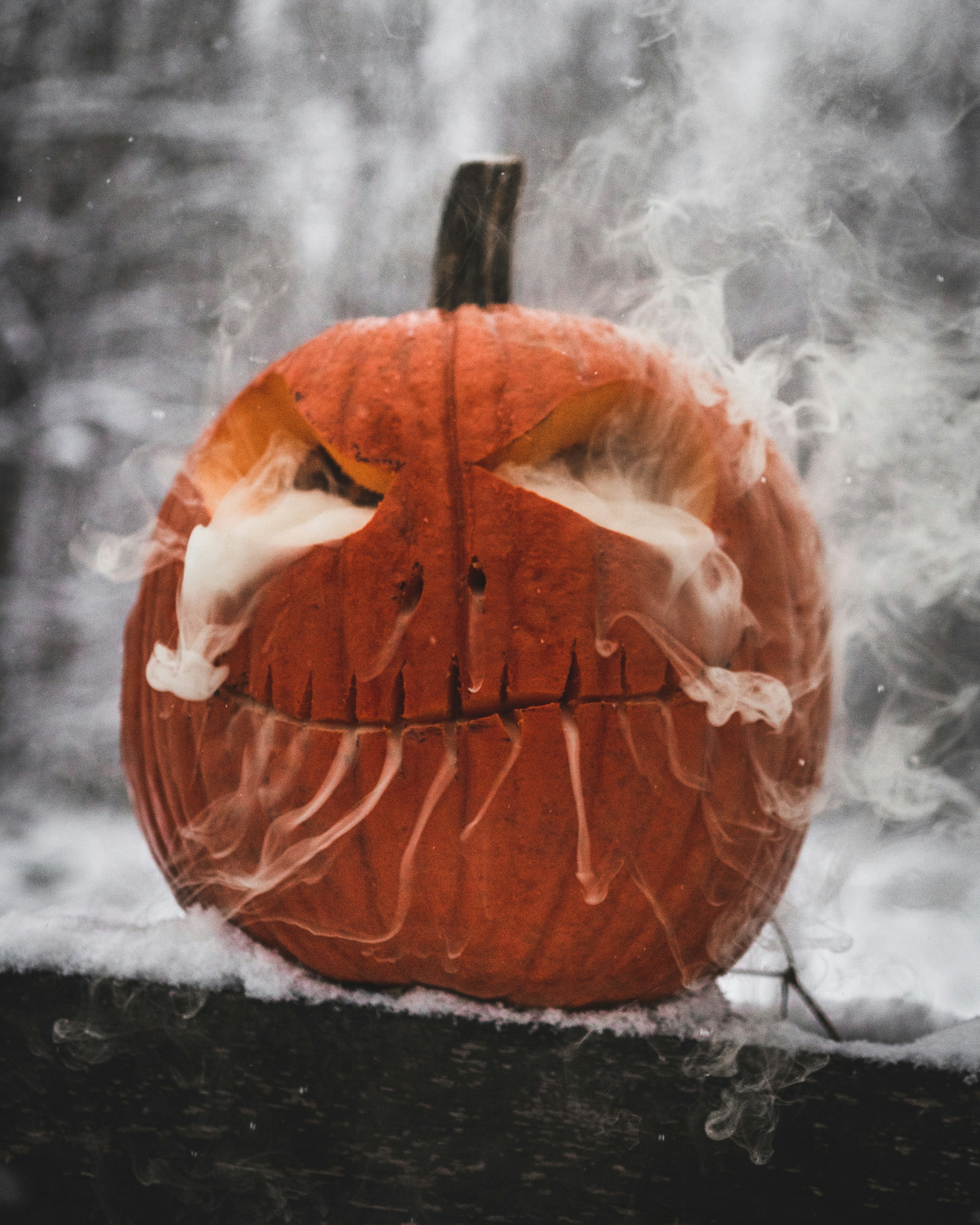 Steam on Snow: The Carved Pumpkin in Frosty Veil