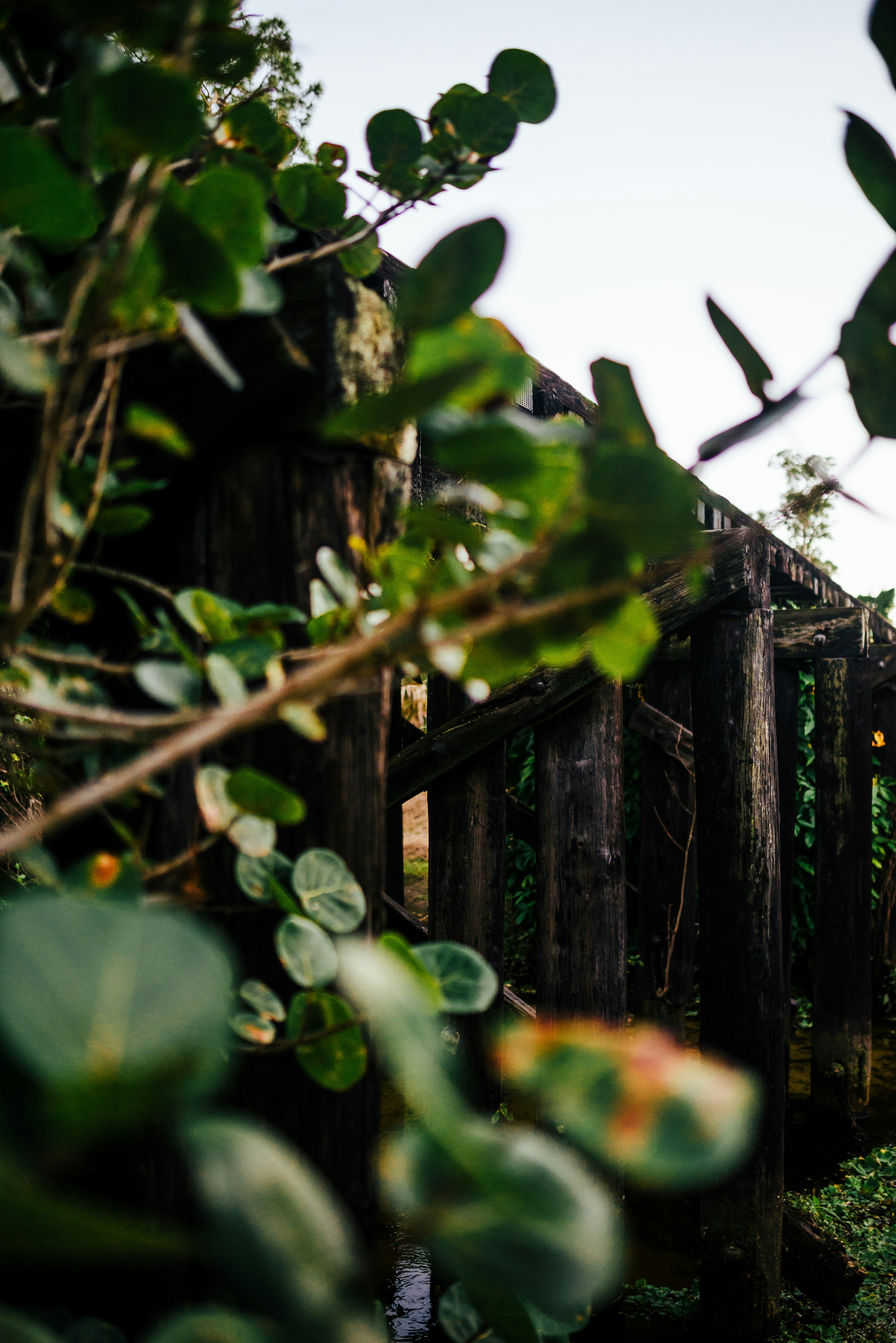 Eddie Kopp (@fiveohfilms) | Unsplashフォトコミュニティ