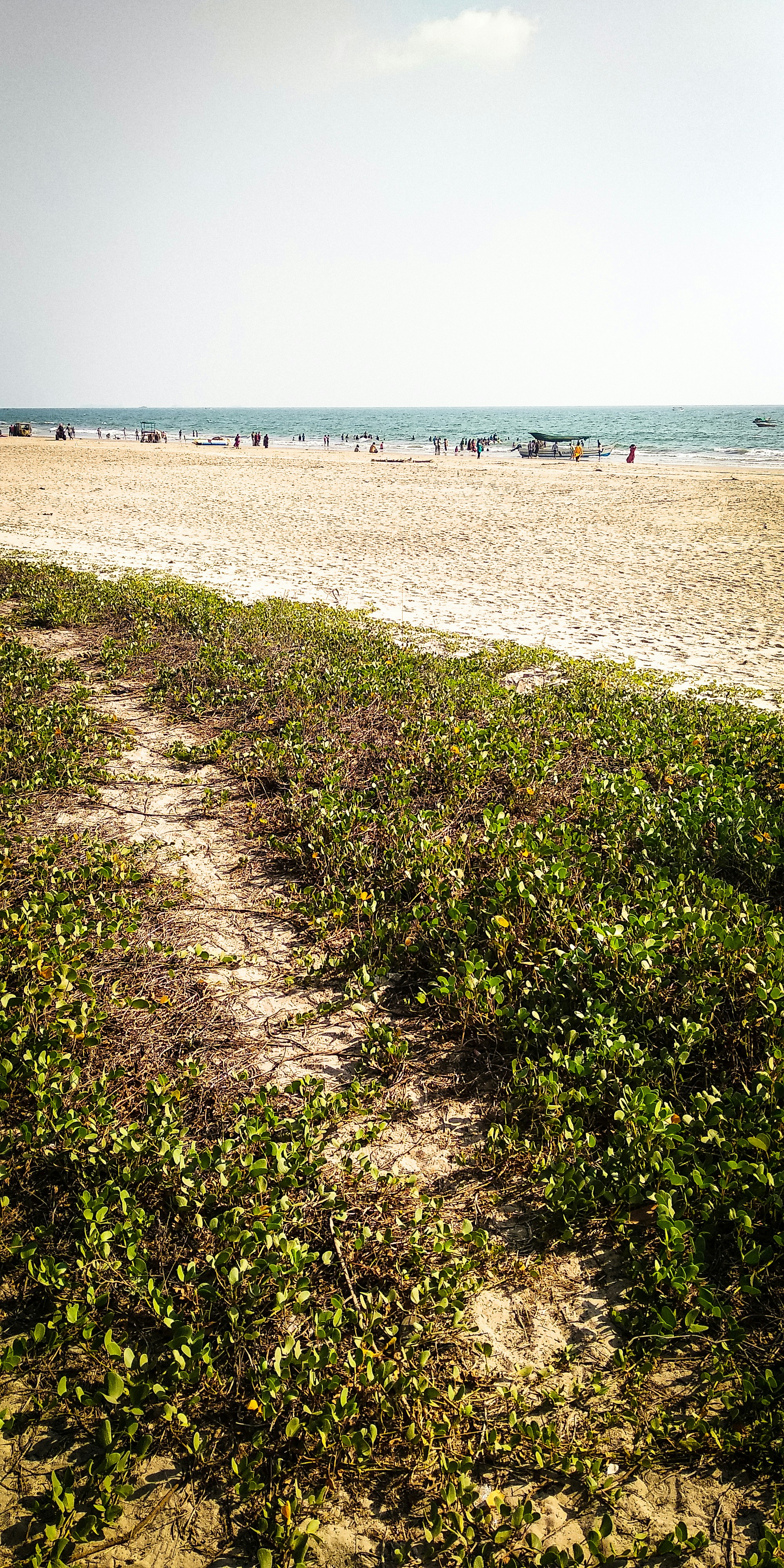 Lush green vegetation frames a sandy beach with people enjoying the sun and surf in the distance. A tranquil coastal scene unfolds under a clear sky.