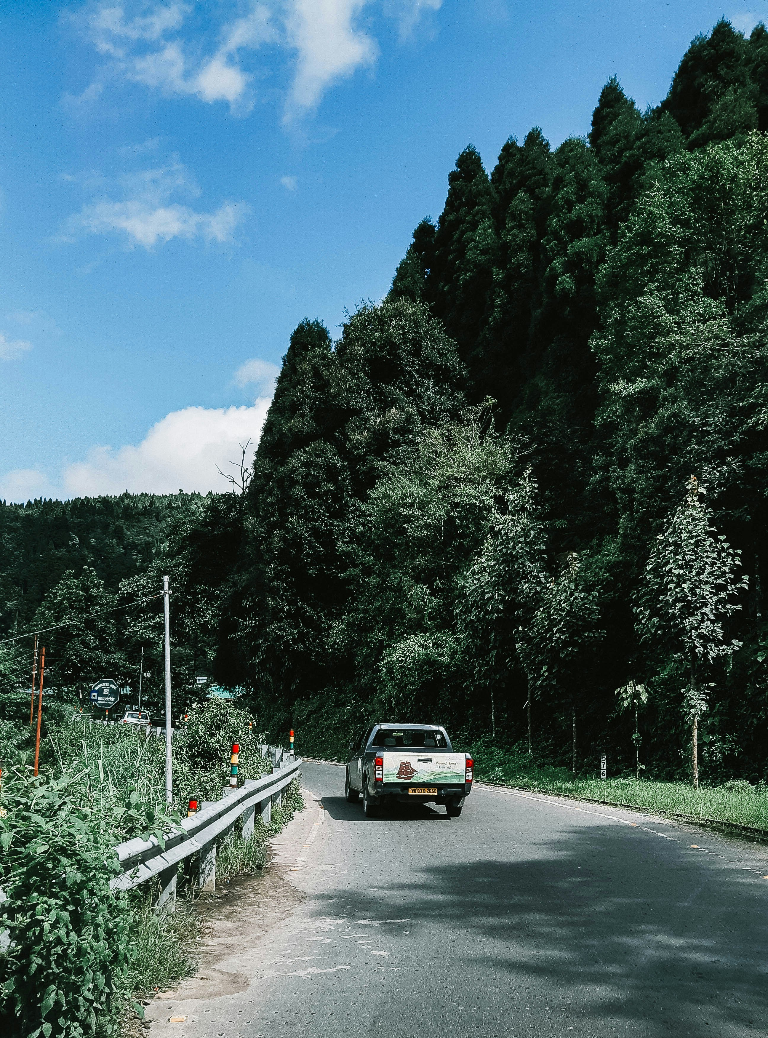 A white pickup truck navigates a winding road surrounded by dense greenery and towering trees under a bright blue sky.