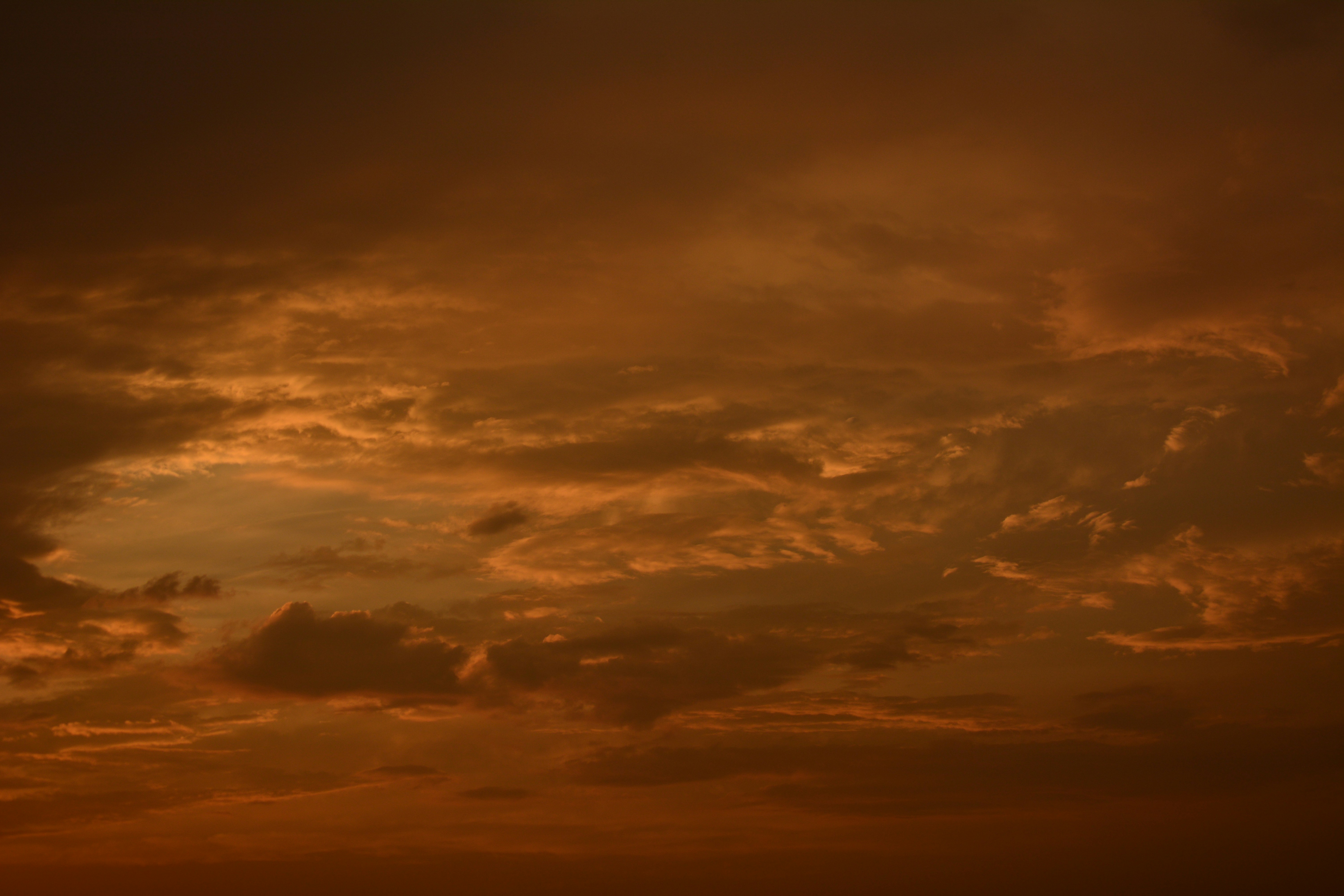 Brown Sky Pictures | Download Free Images on Unsplash