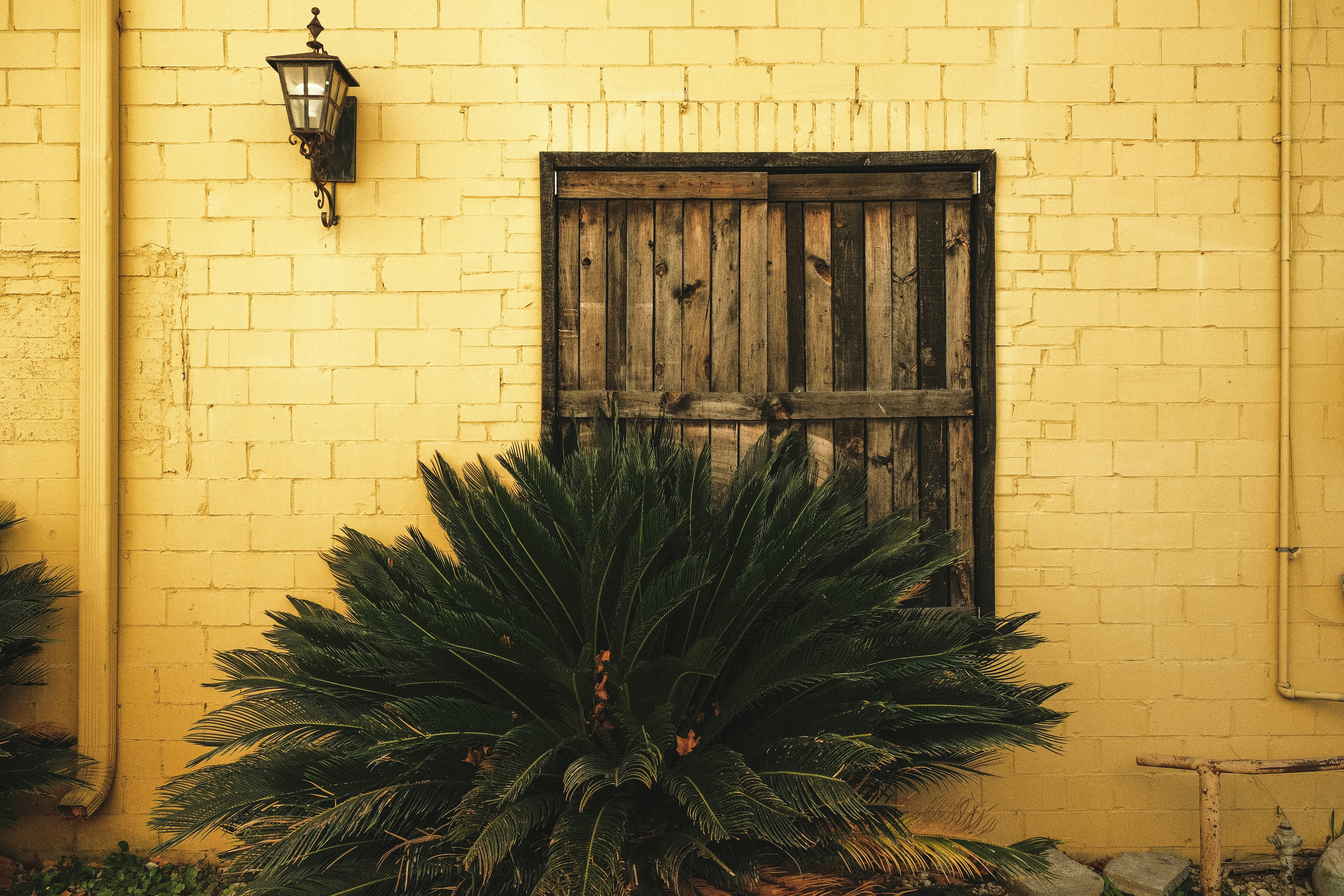 Sun-Soaked Facade Framed by a Rustic Door and Bold Foliage