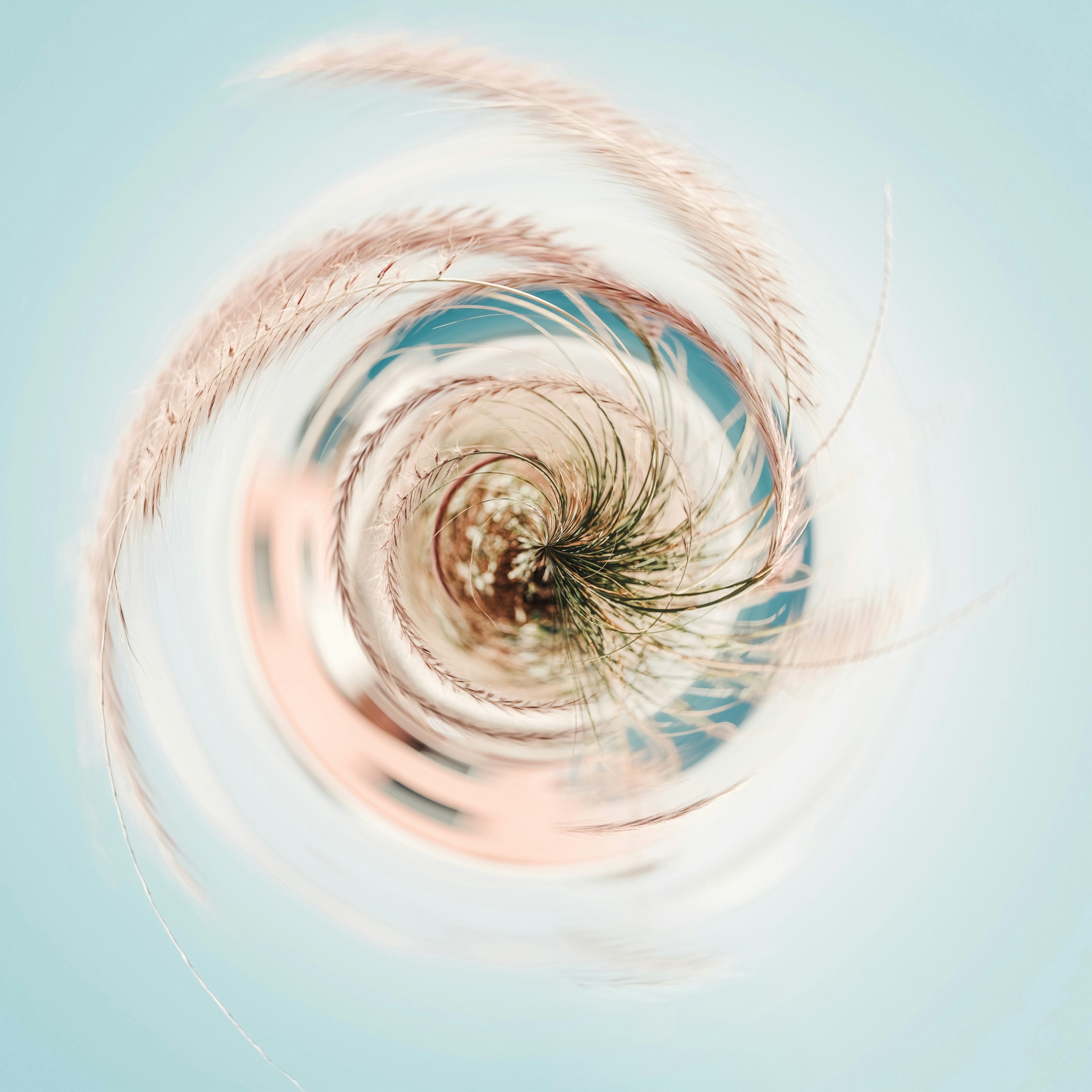 Spiral Meadow: a tiny-planet study of wind-kissed grasses under a pale blue sky