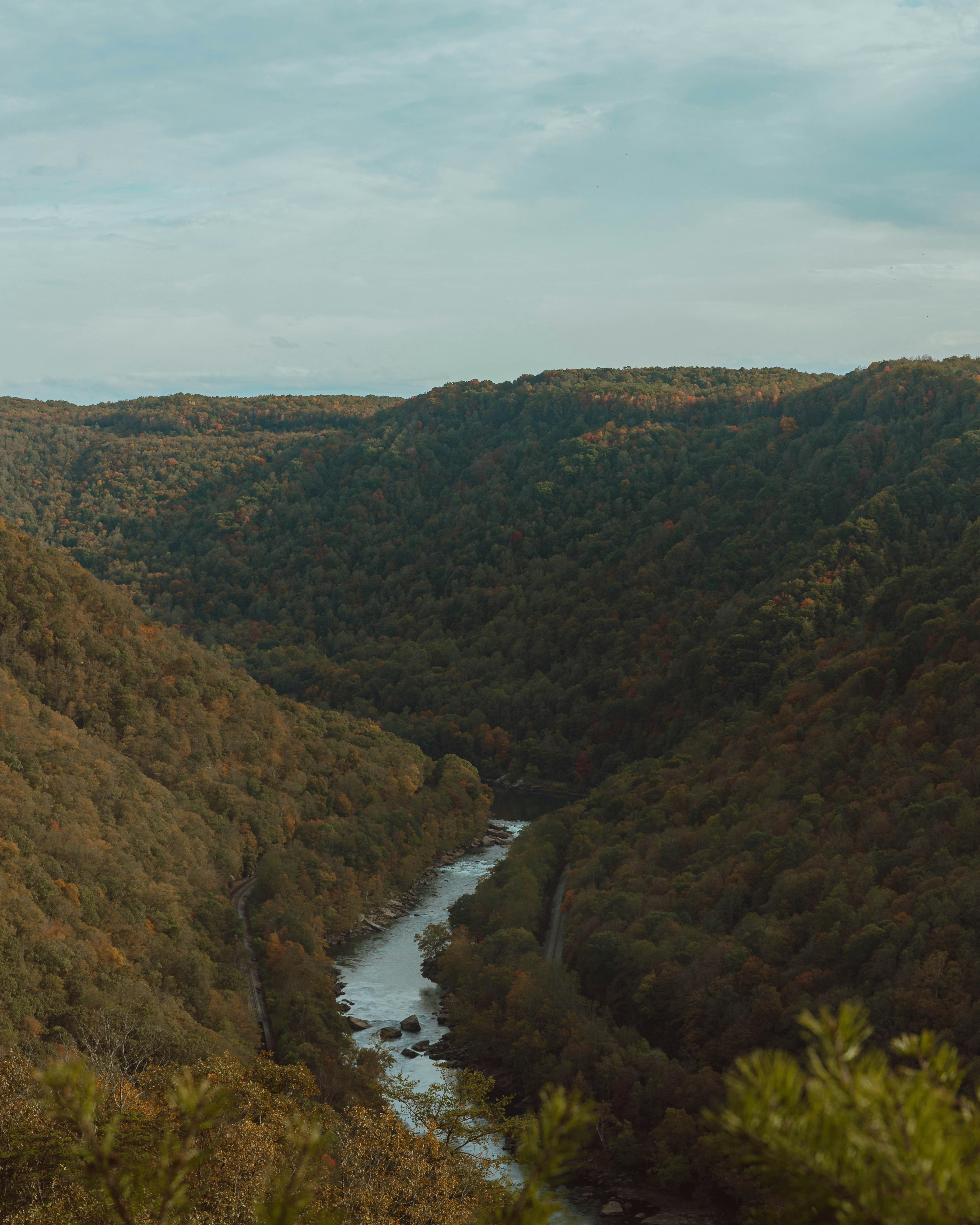 Définition de gore | Dictionnaire français